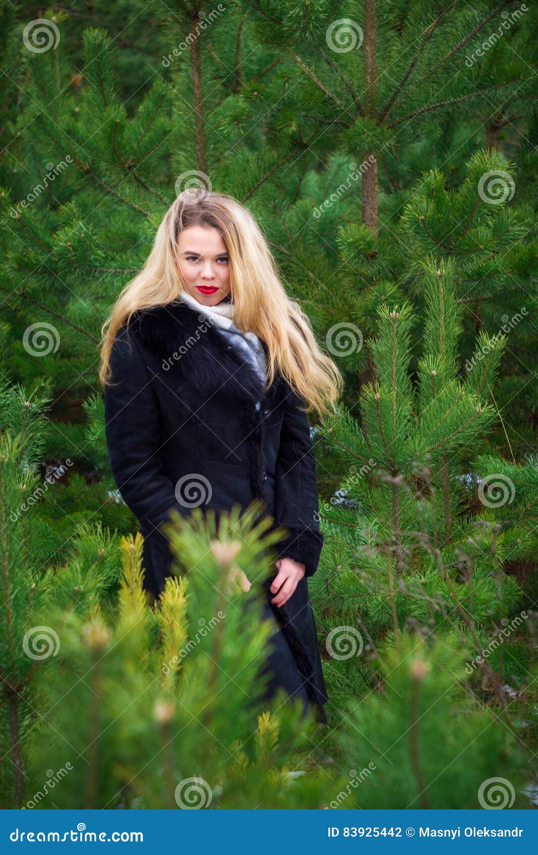 Woman posing in pines stock photo. Image of attractive - 83925442