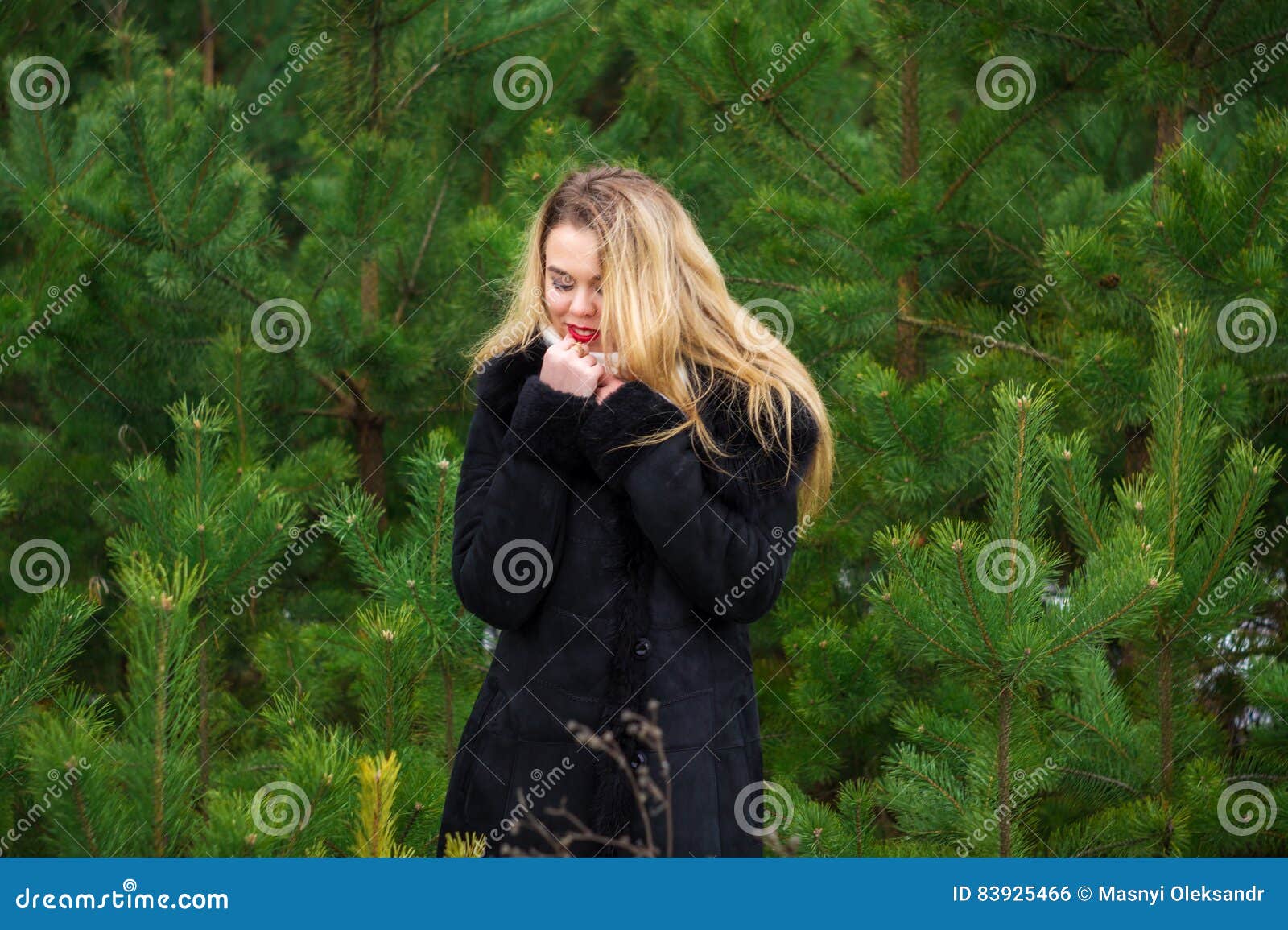 Woman posing in pines stock photo. Image of fresh, beautiful - 83925466