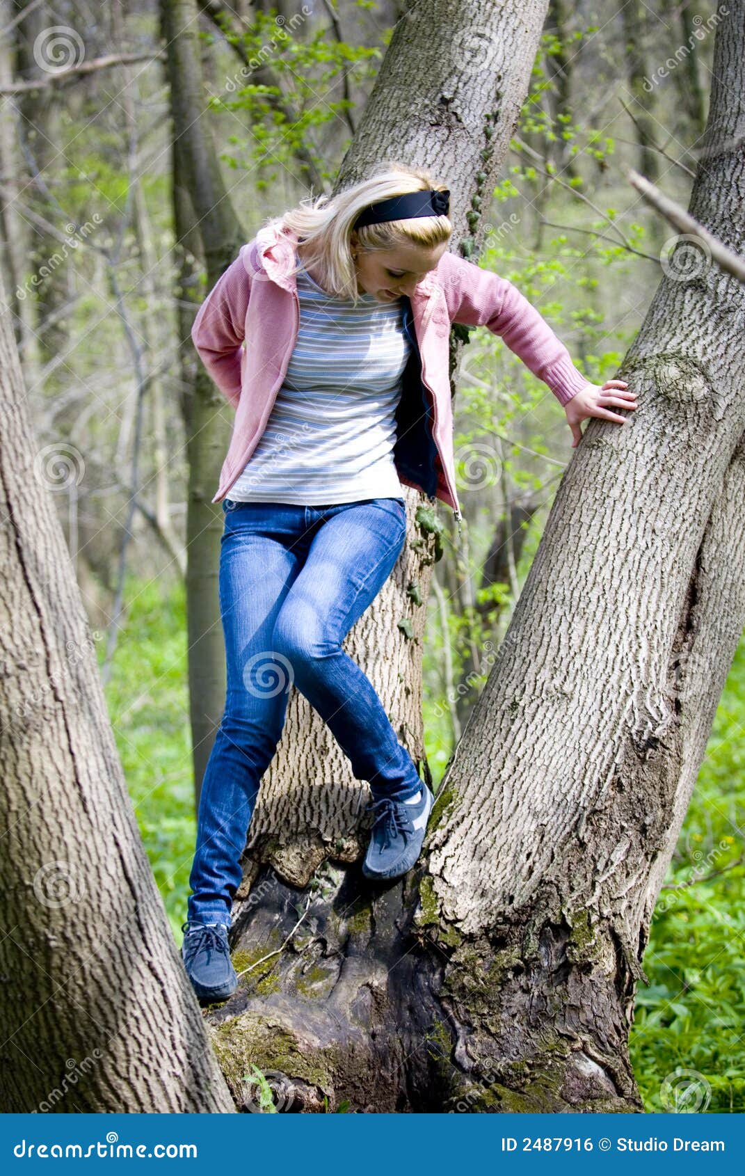 Woman posing on tree stump stock photo. Image of stump - 2487916