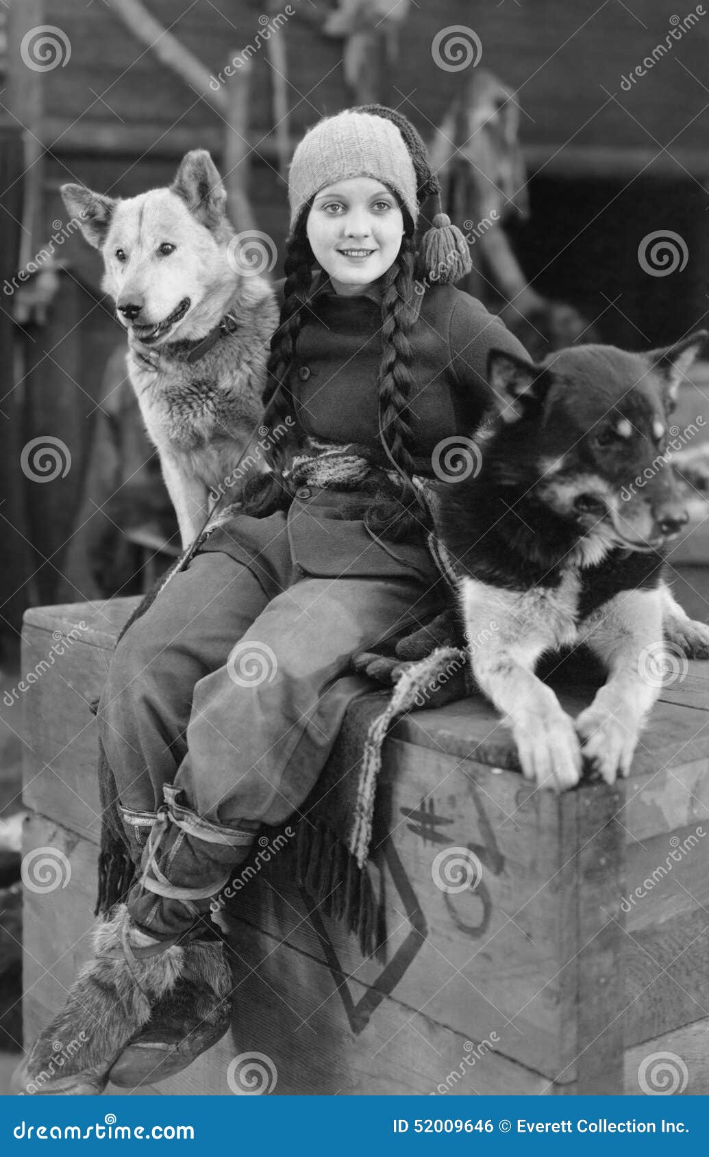 Woman Posing with Two Sled Dogs Stock Photo - Image of domesticated ...