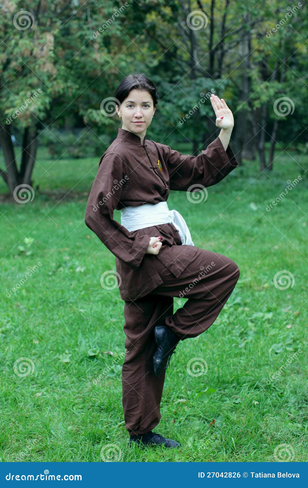 Woman practicing kung fu stock photo. Image of health - 27042826
