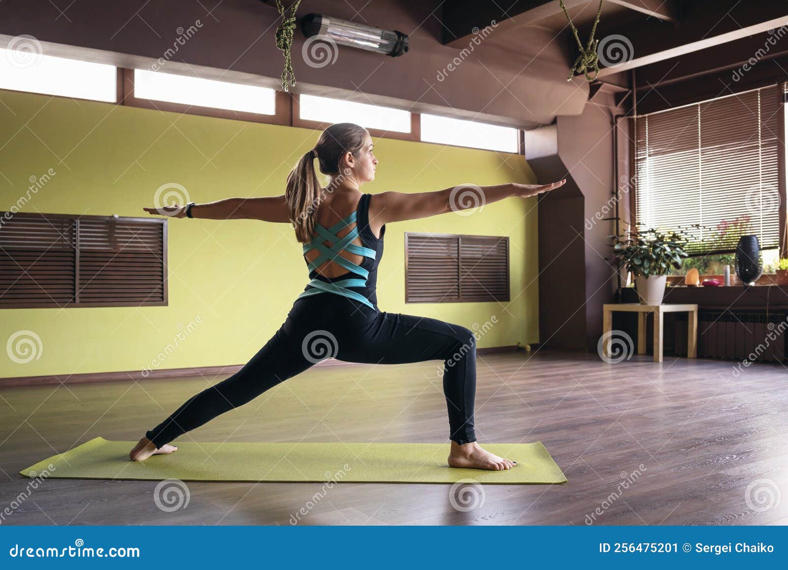 A Woman Practicing Yoga, Performs the Exercise Virabhadrasana, Warrior ...