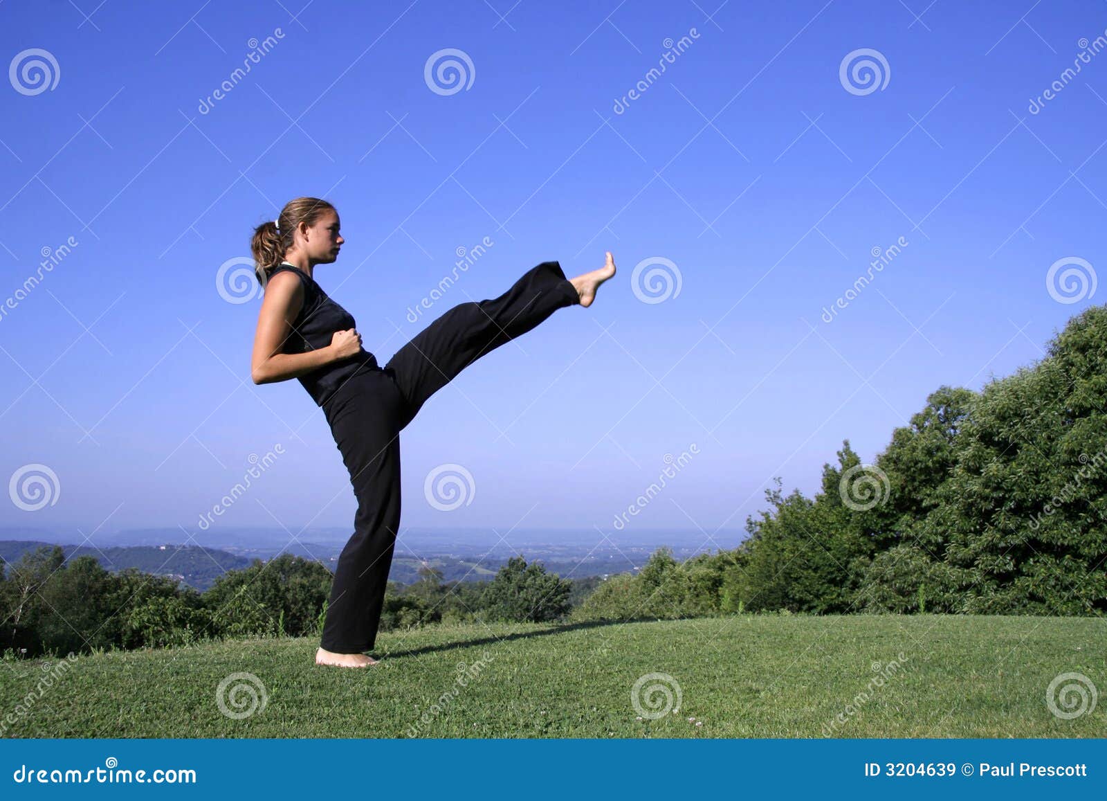 Woman Practising Self Defense Stock Image - Image of punch, healthy ...