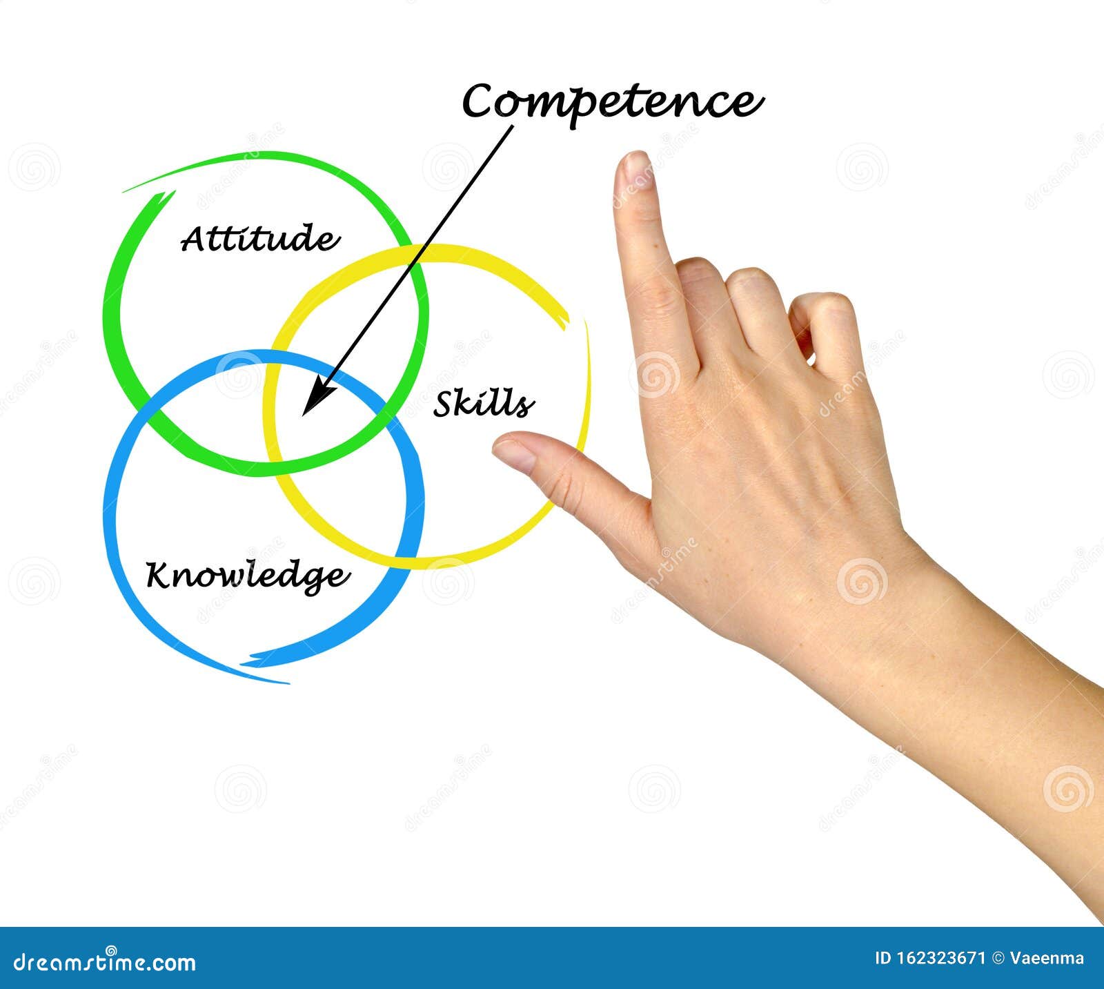 Presenting Diagram of Competence Stock Image - Image of female ...
