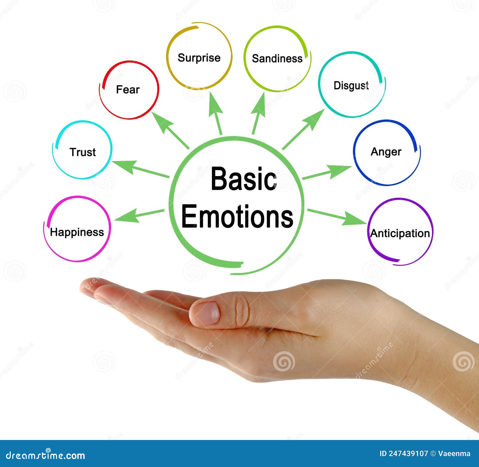 Presenting Eight Basic Emotions Stock Image - Image of basic, anger ...