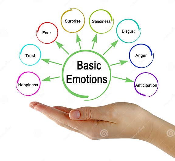 Presenting Eight Basic Emotions Stock Image - Image of basic, anger ...