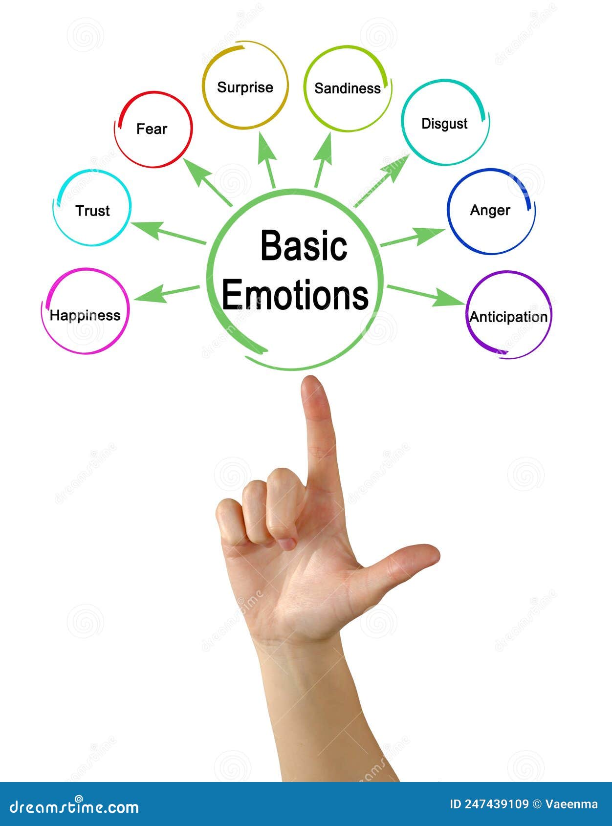Presenting Eight Basic Emotions Stock Image - Image of surprise ...