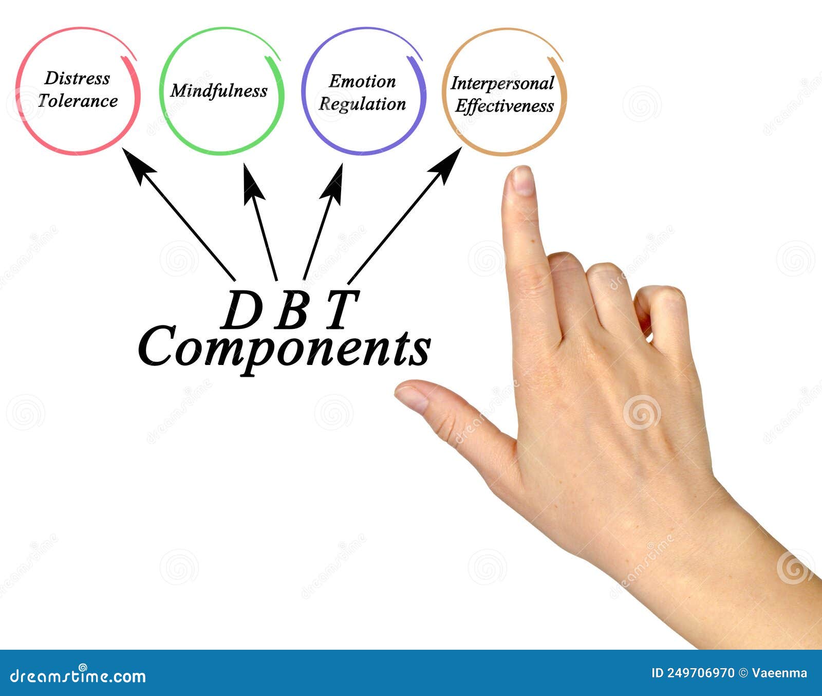 Presenting Four Components of DBT Stock Photo - Image of interpersonal ...