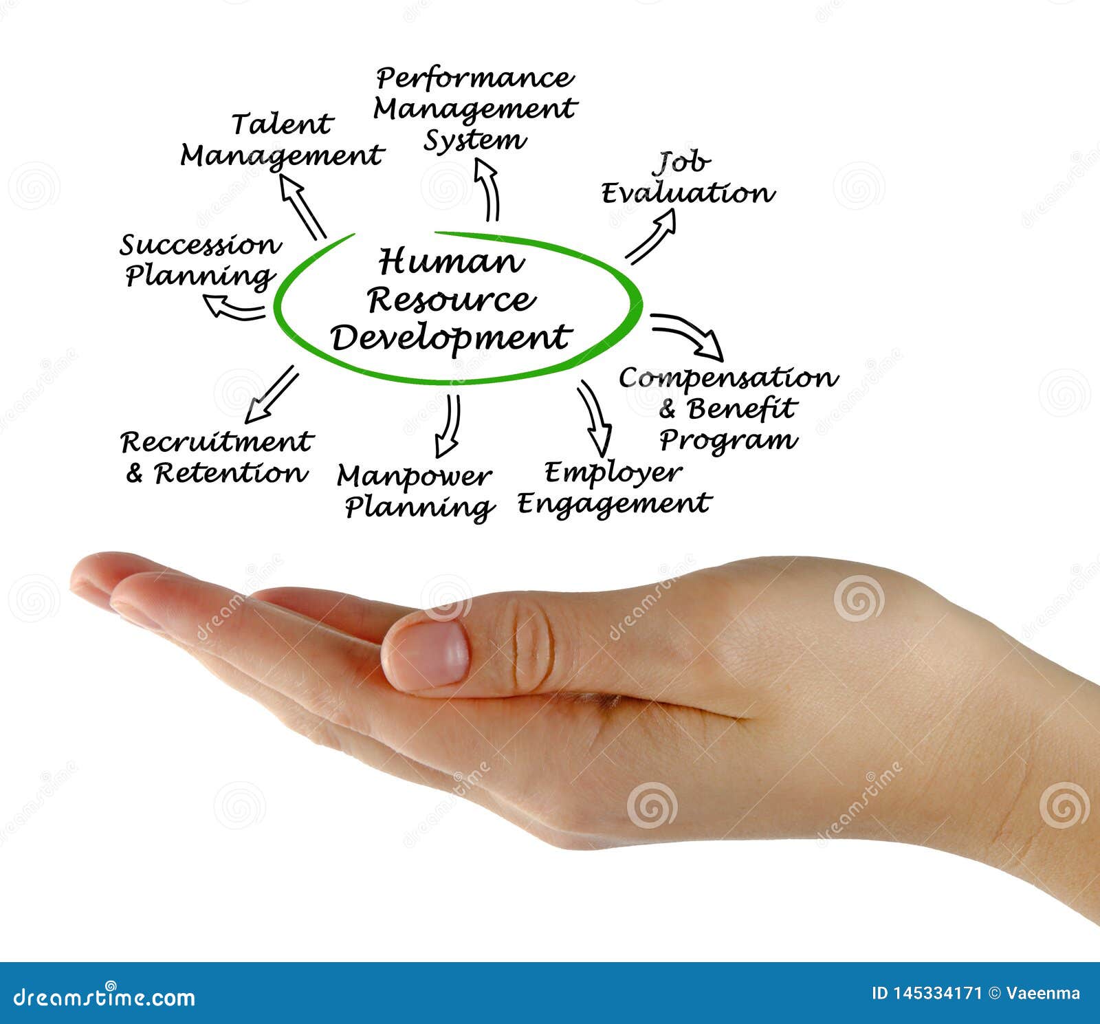 Human resource development stock illustration. Illustration of concept ...
