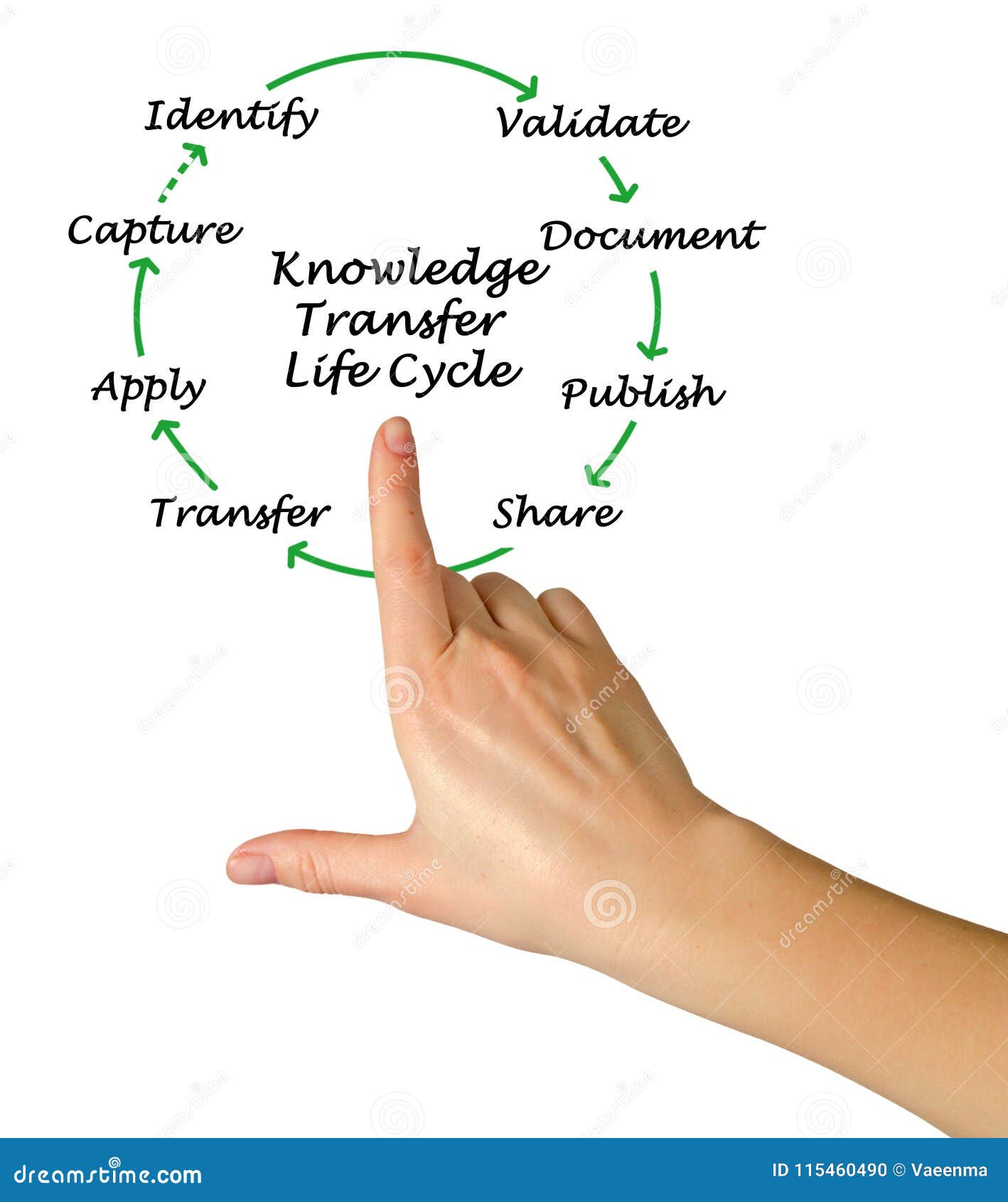 Knowledge Transfer Life Cycle Stock Photo - Image of person, screen ...