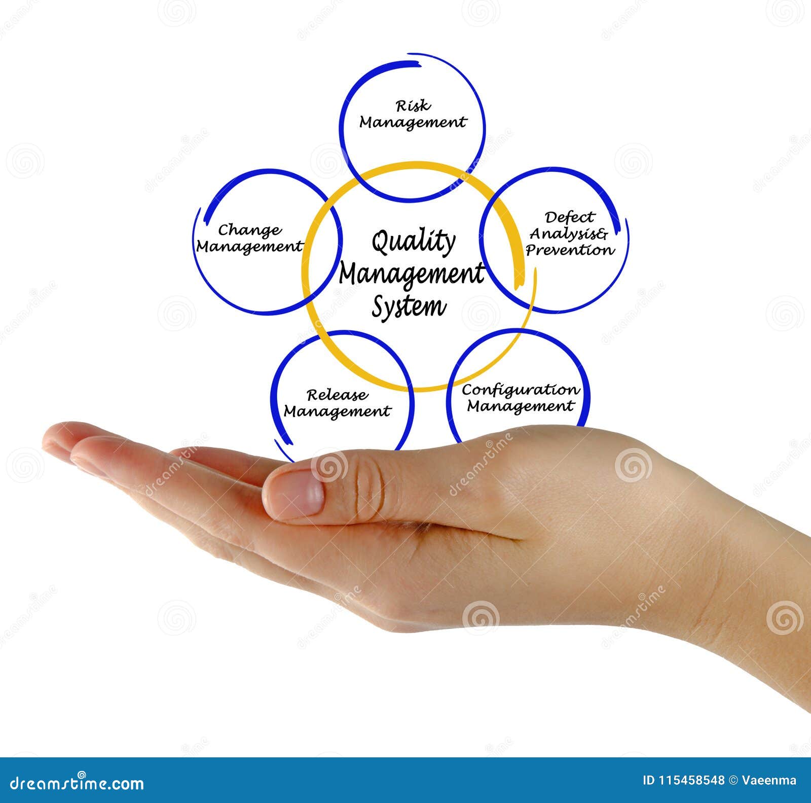 Quality Management System stock photo. Image of change - 115458548