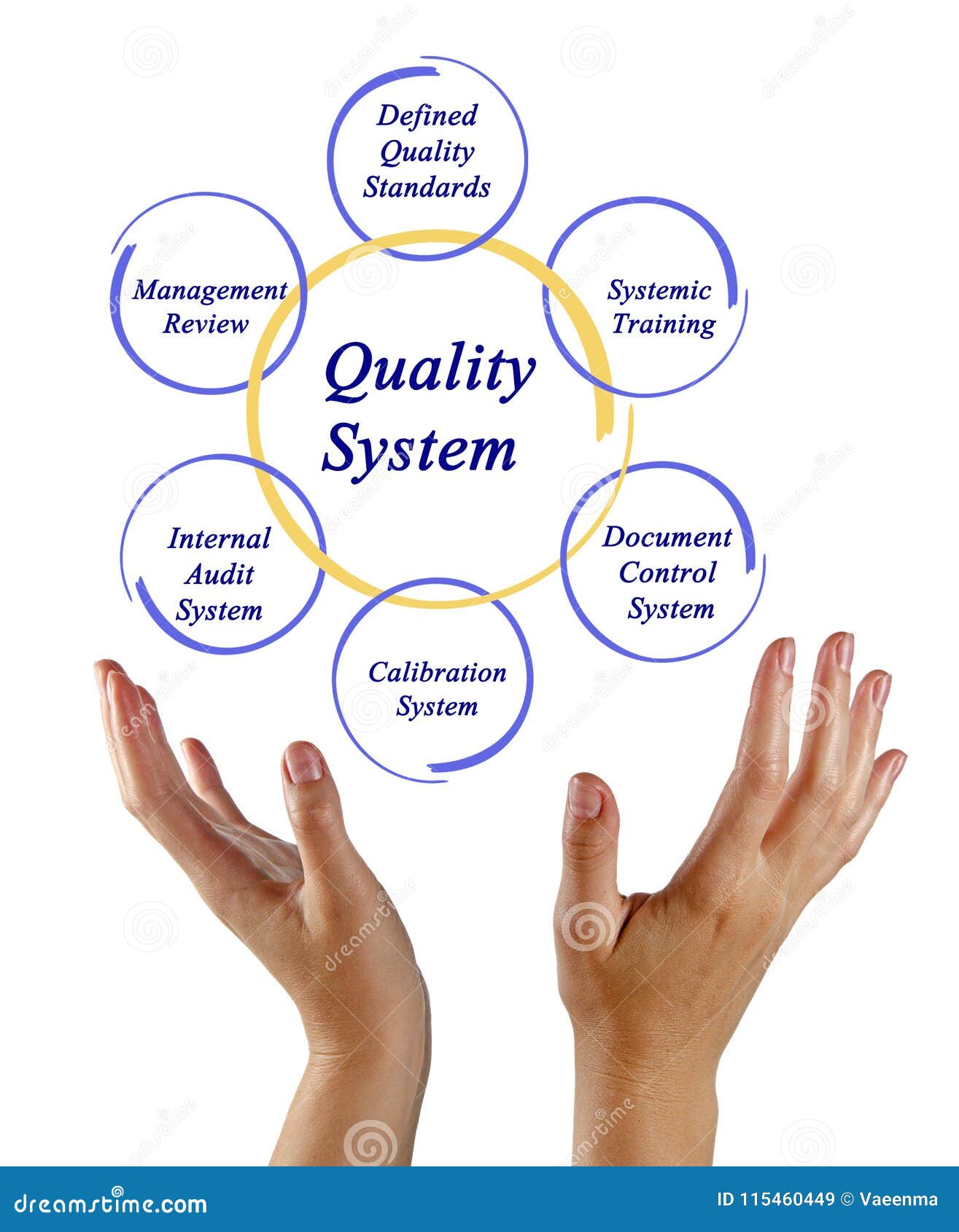 Quality System components stock image. Image of systemic - 115460449