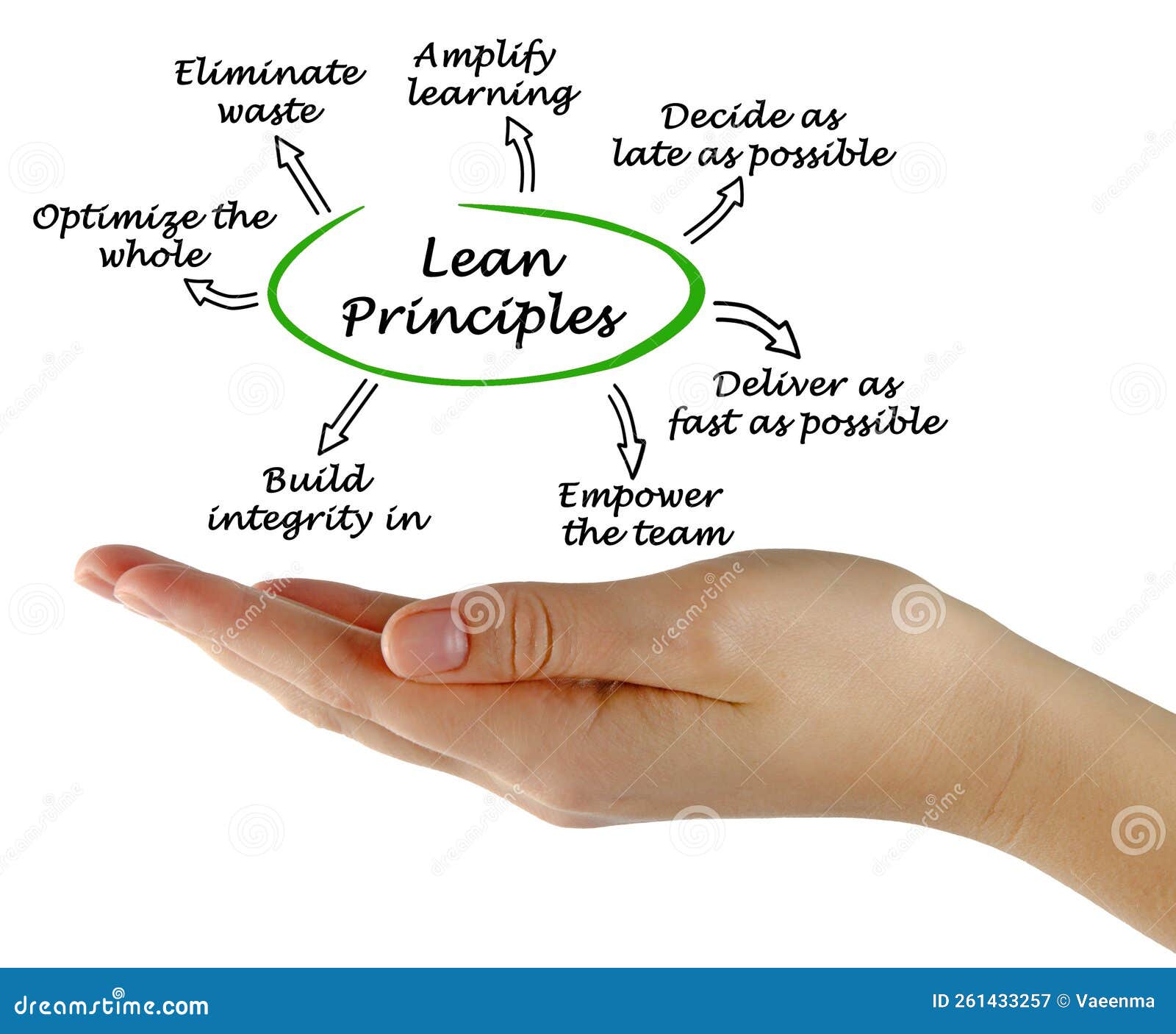 Presenting Seven Lean Principles Stock Image - Image of palm, lean ...