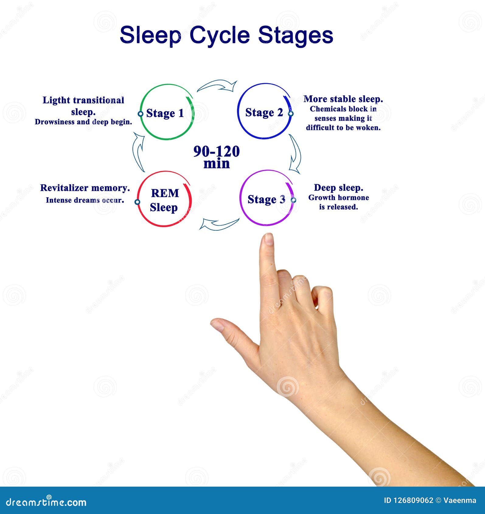 Presenting Sleep Cycle Stages Stock Photo - Image of intense, person ...