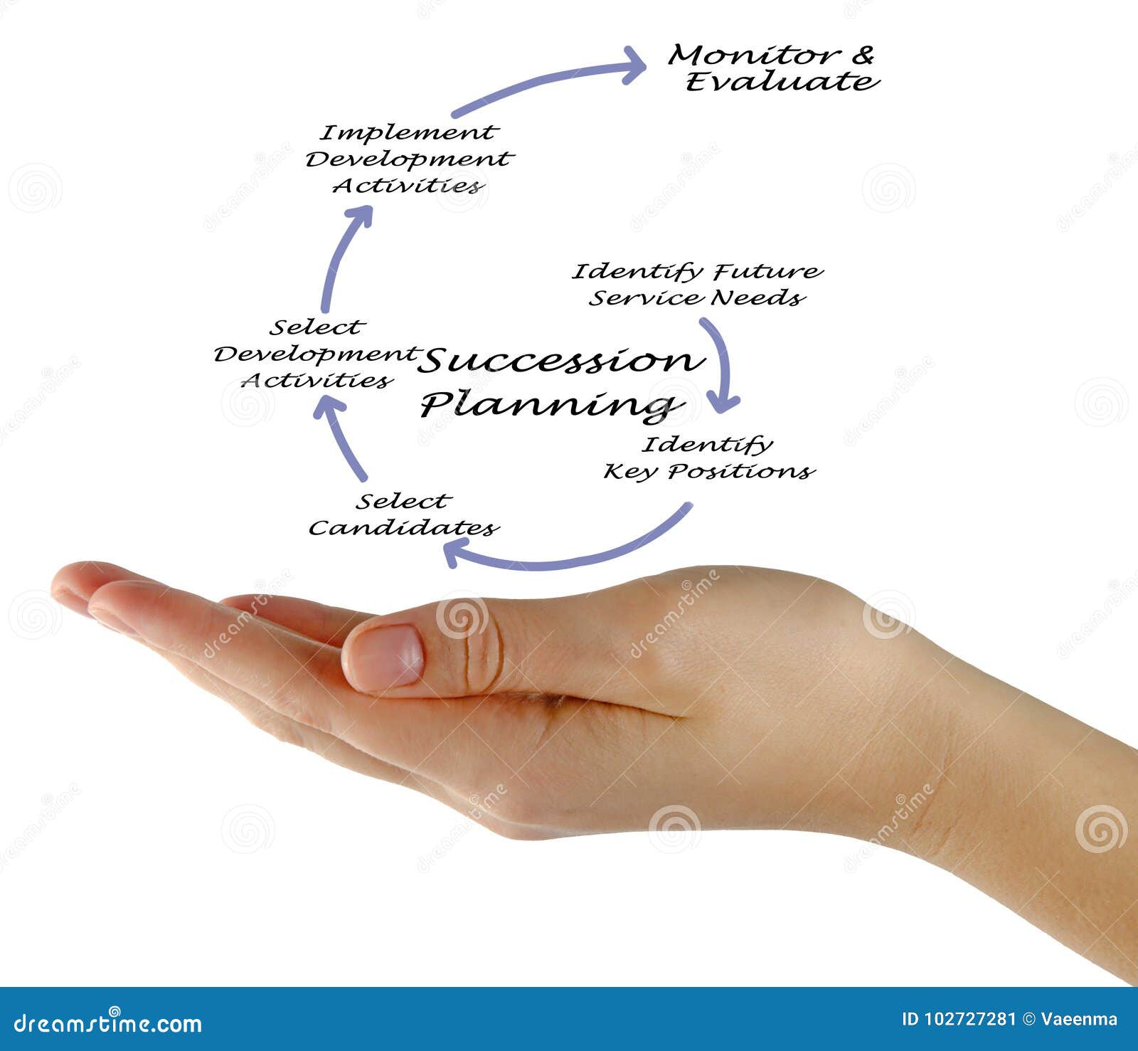 Succession Planning Process Stock Image - Image of management ...