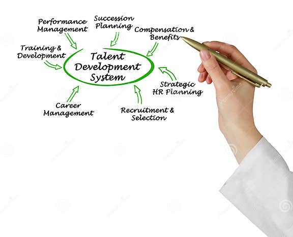 Talent Development System stock photo. Image of system - 117565030