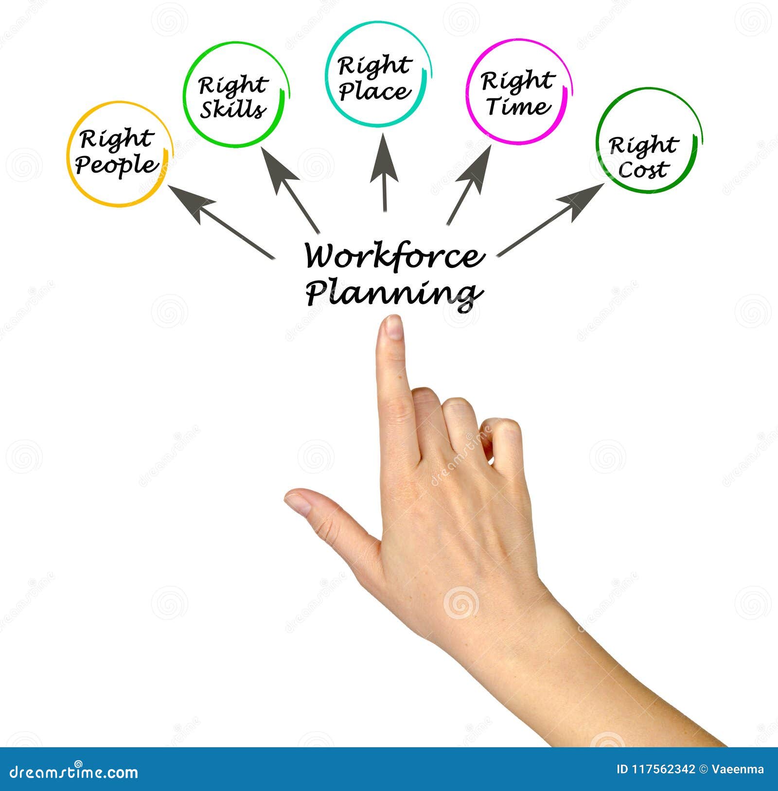 Workforce Planning And Talent Development Written On The Whiteboard ...
