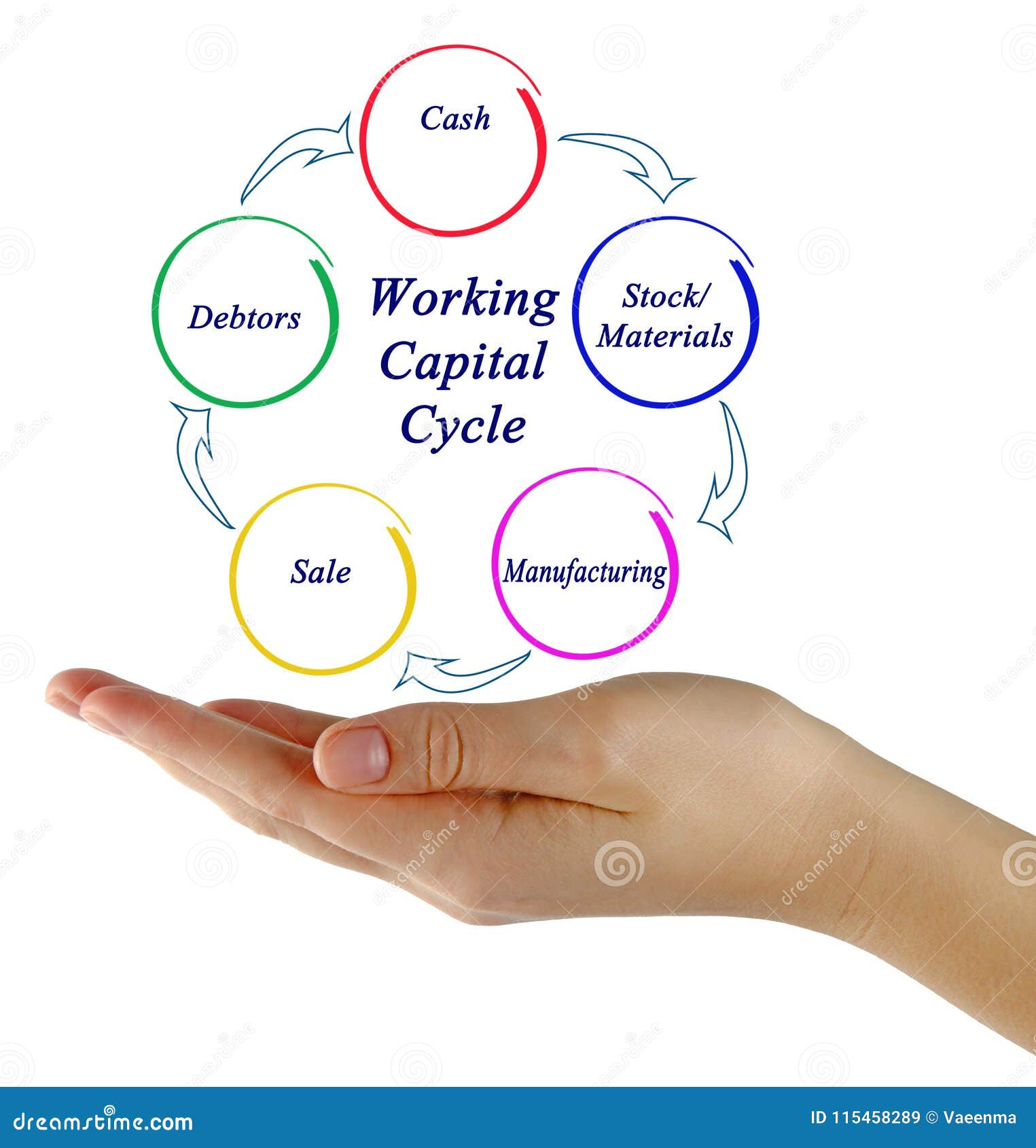 Working Capital Cycle stock image. Image of repayment - 115458289