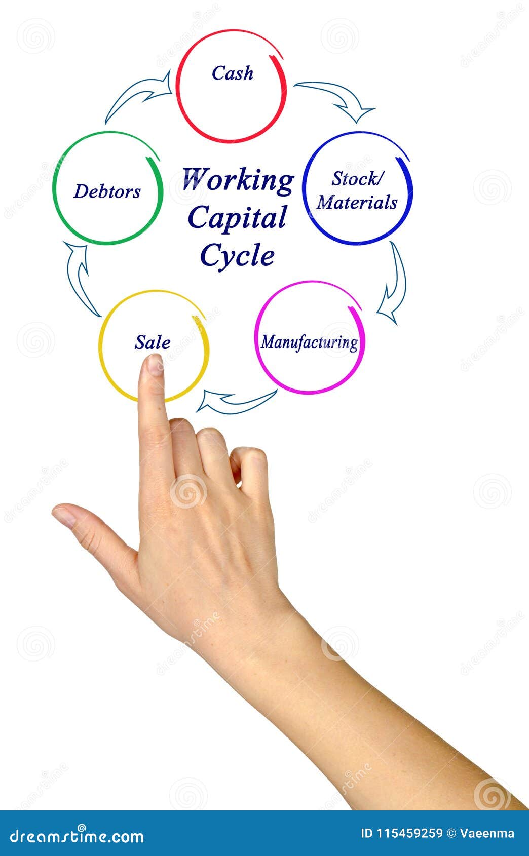 Working Capital Cycle stock image. Image of diagram - 115459259