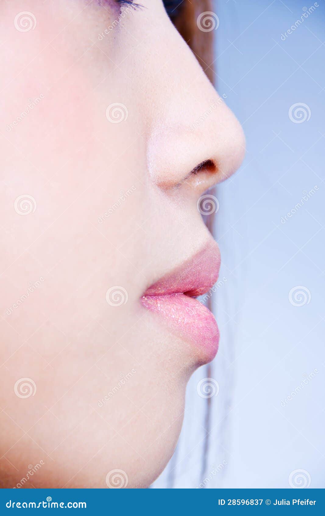 Woman Profil with Small Nose an Sensual Lips Stock Image - Image of ...