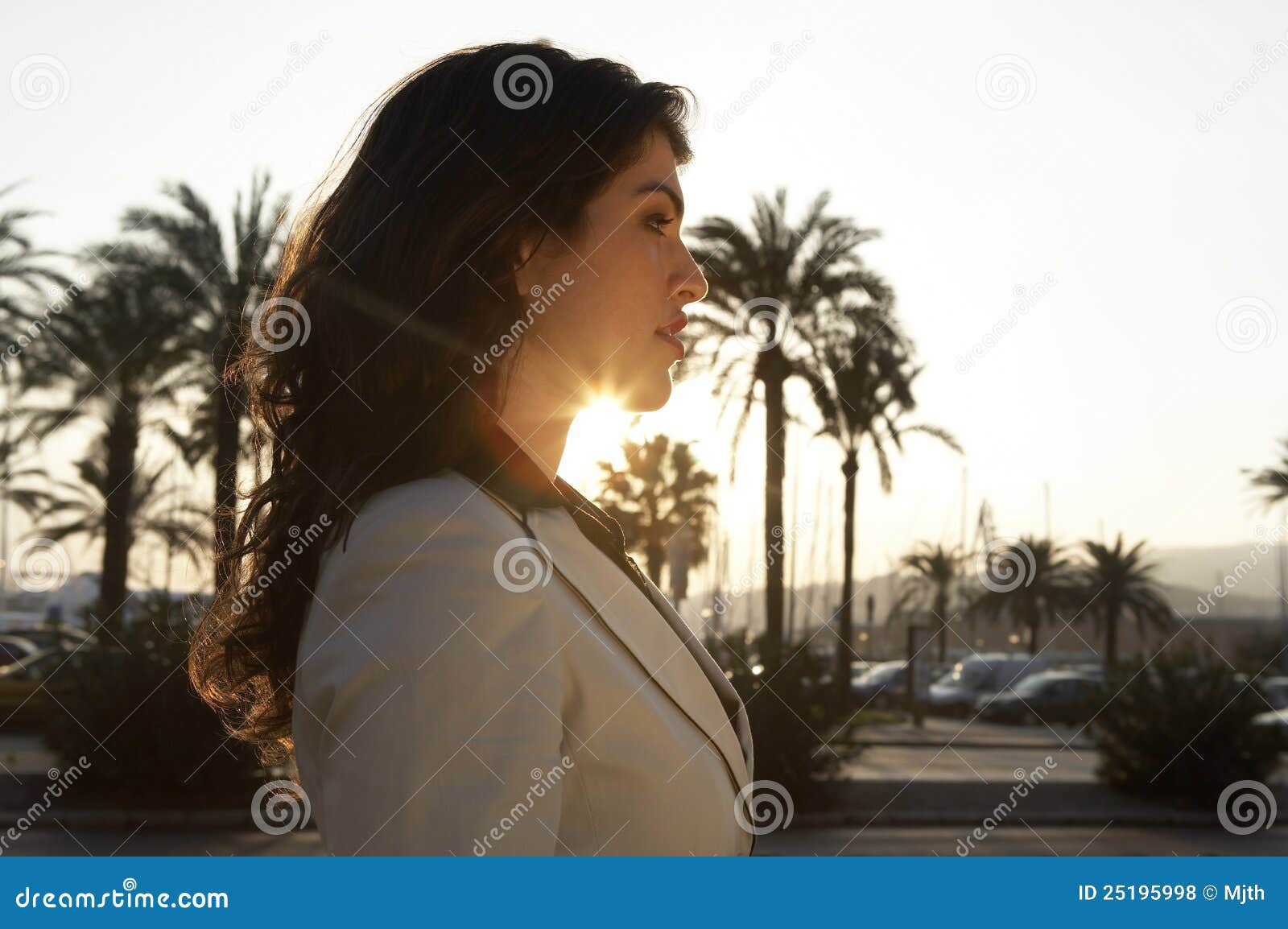 Woman Profile with Sun stock photo. Image of face, golden - 25195998
