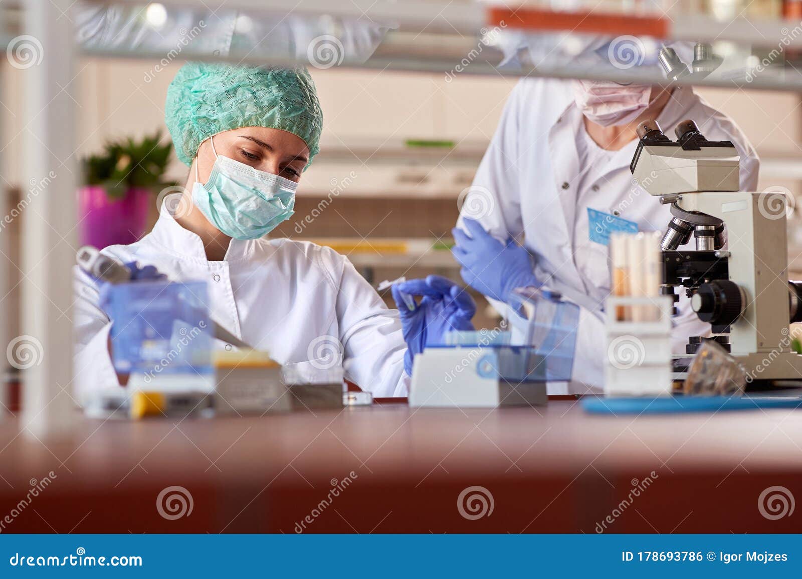 Woman with Protective Equipment Working in Lab Stock Photo - Image of ...