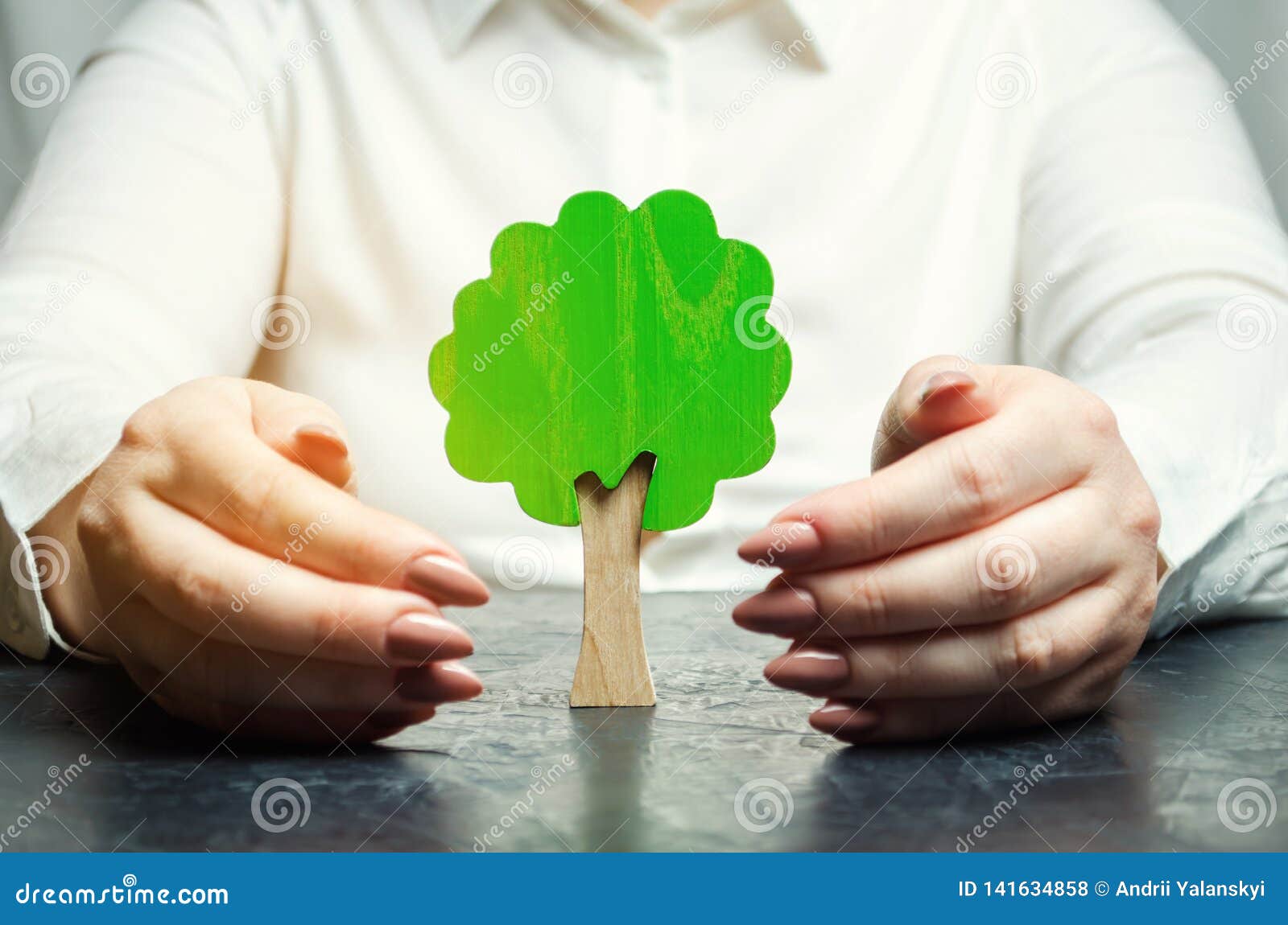 Woman Protects a Miniature Green Tree. Saving the Environment and ...