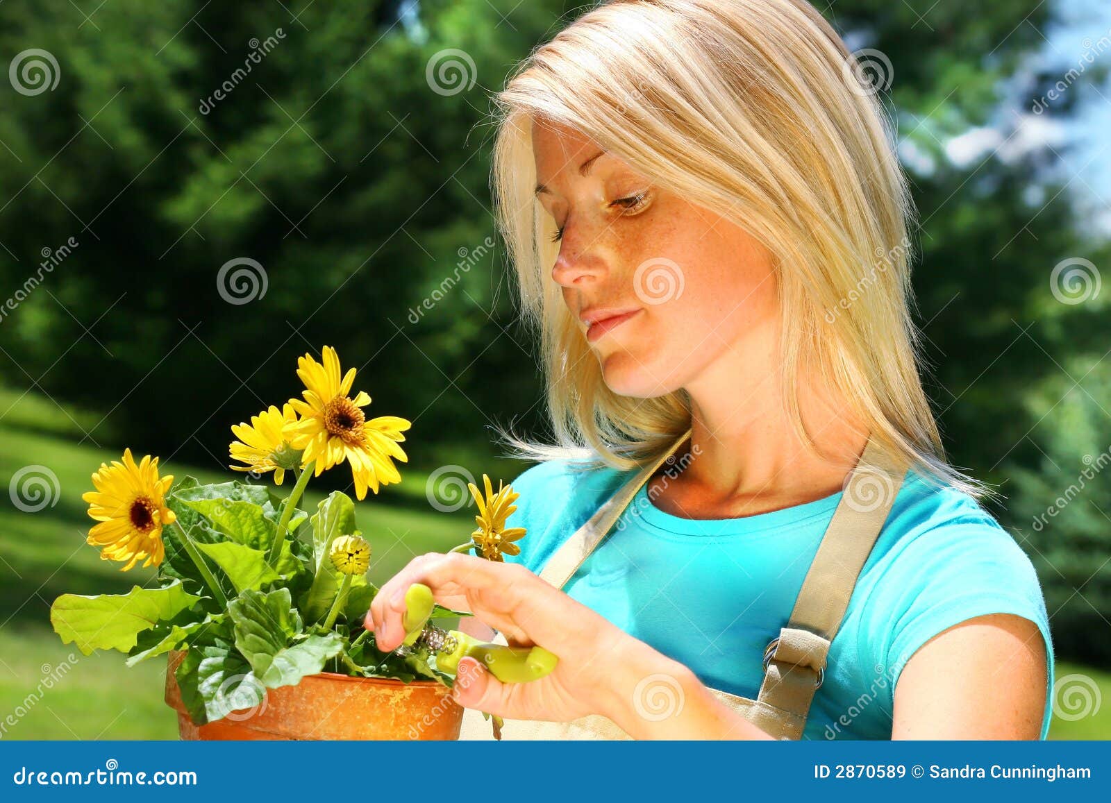 Woman pruning flowers stock image. Image of bright, clay - 2870589
