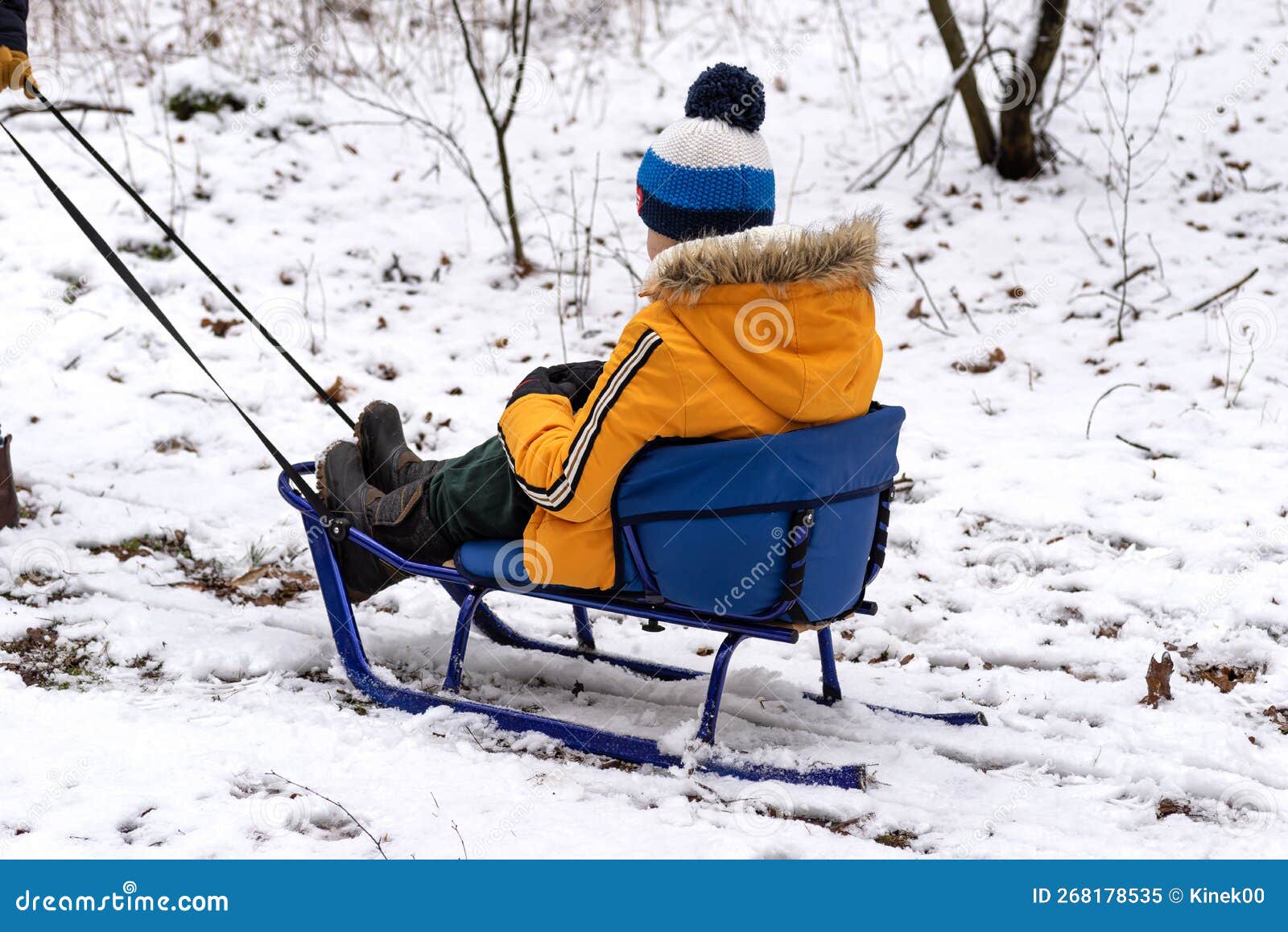 A Woman is Pulling a Boy on a Sled through the Snow in the Forest ...