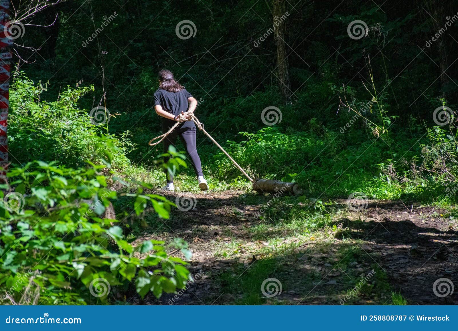 Woman Pulling a Heavy Tree Trunk with a Rope Stock Image - Image of ...