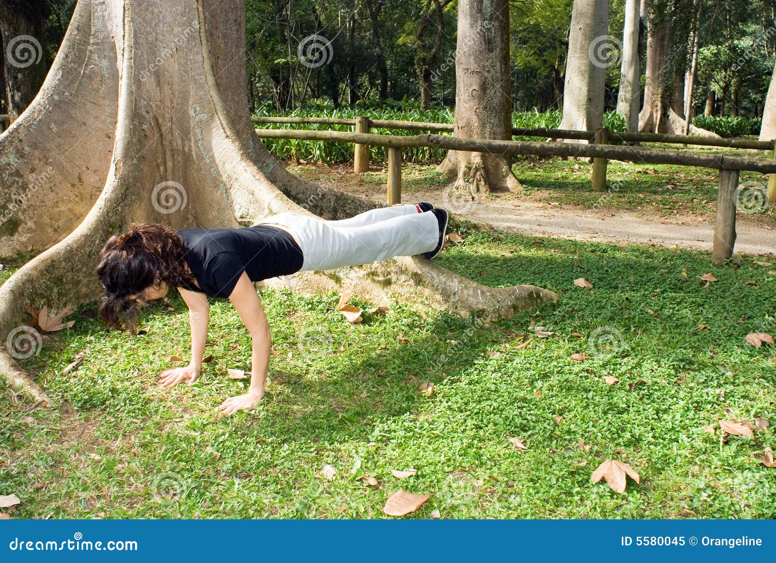 Woman Push Up Position Next To Tree Horizontal Photos - Free & Royalty ...