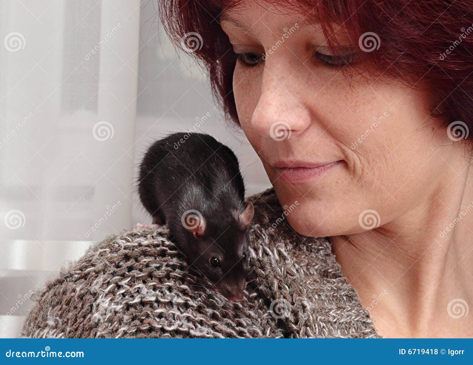 Woman and rat stock photo. Image of people, hair, female - 6719418