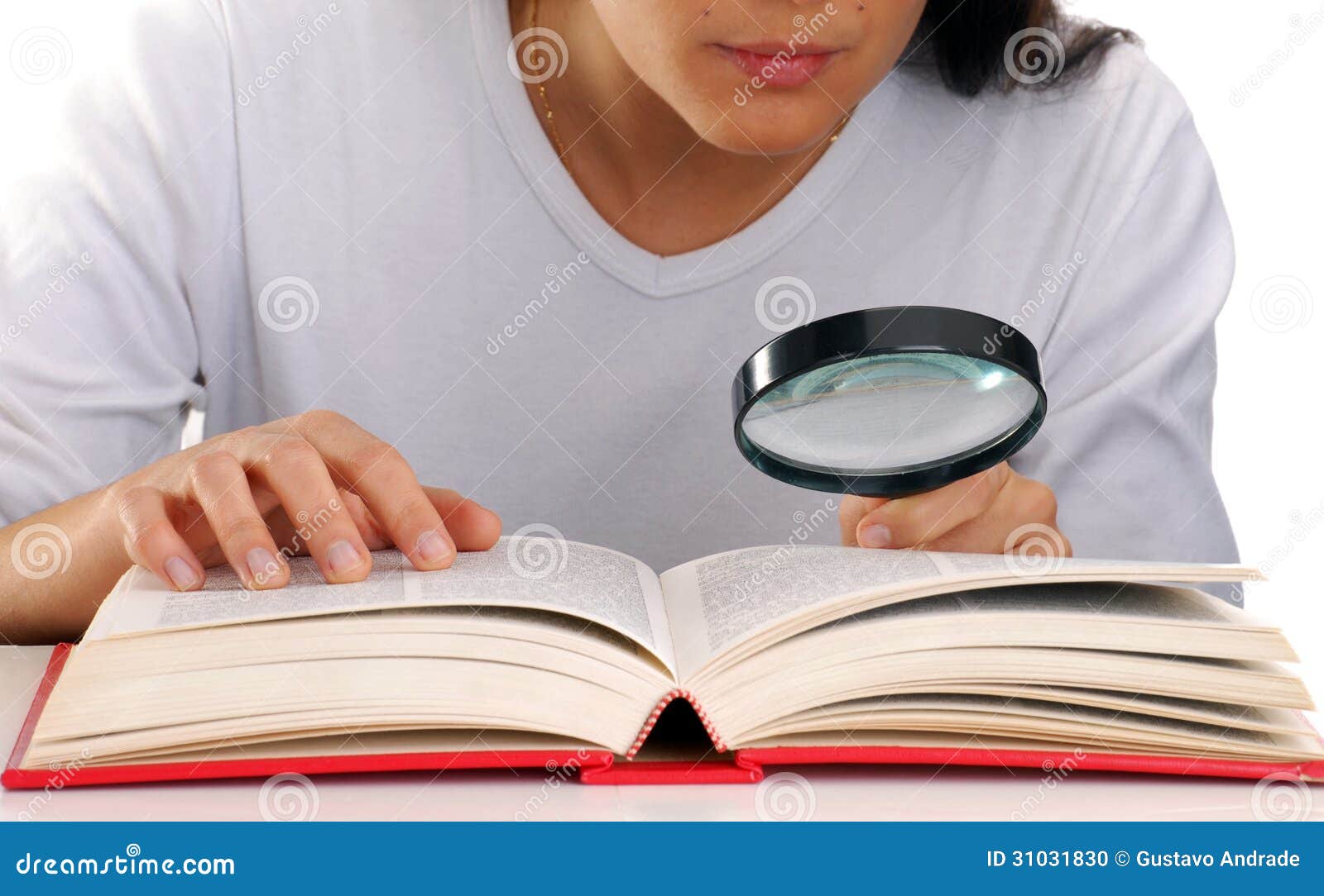 Woman reader. stock photo. Image of lecture, creation - 31031830