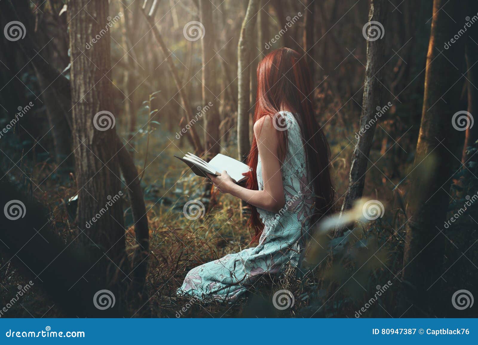 Woman Reading Alone in the Woods Stock Image - Image of lost, fantasy ...