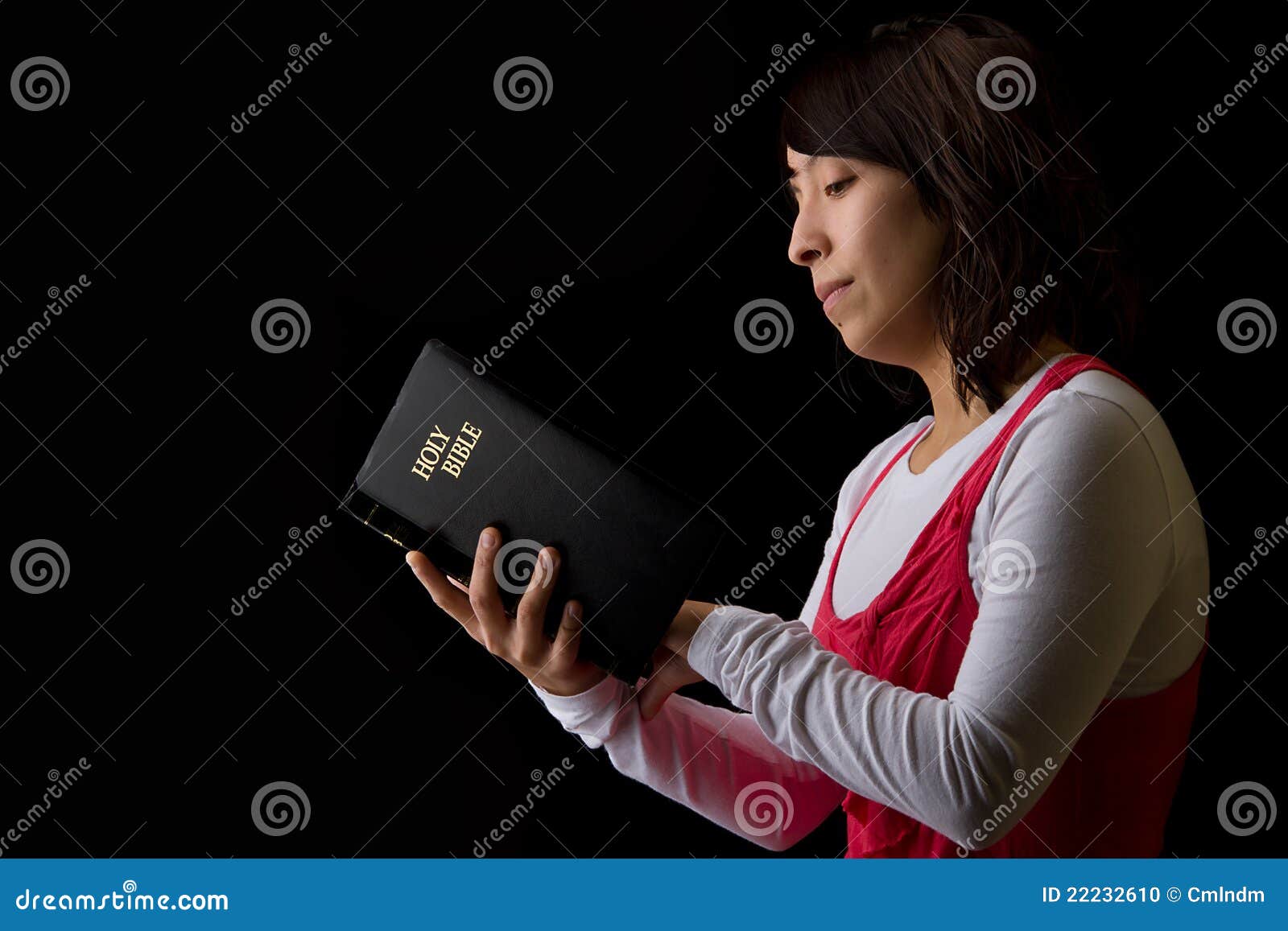 Woman Reading the Bible stock photo. Image of understanding - 22232610