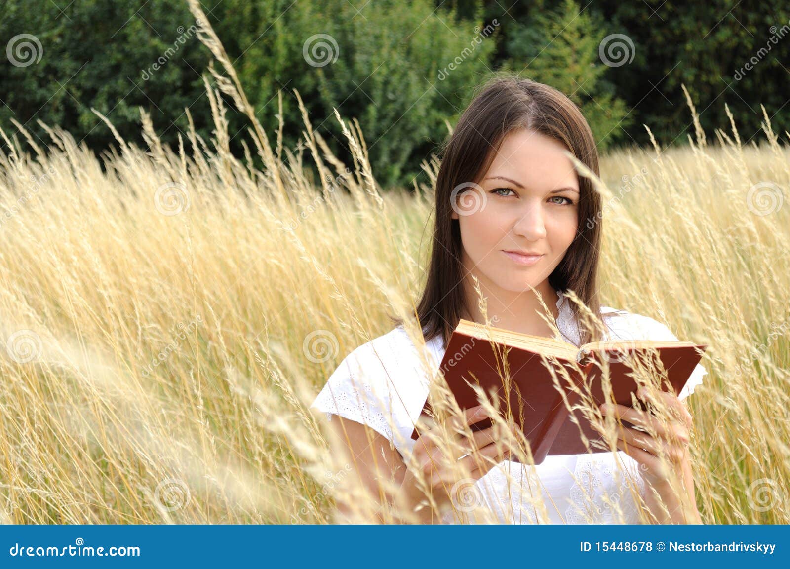 Woman Reading Book in Field Stock Photo - Image of book, outdoors: 15448678