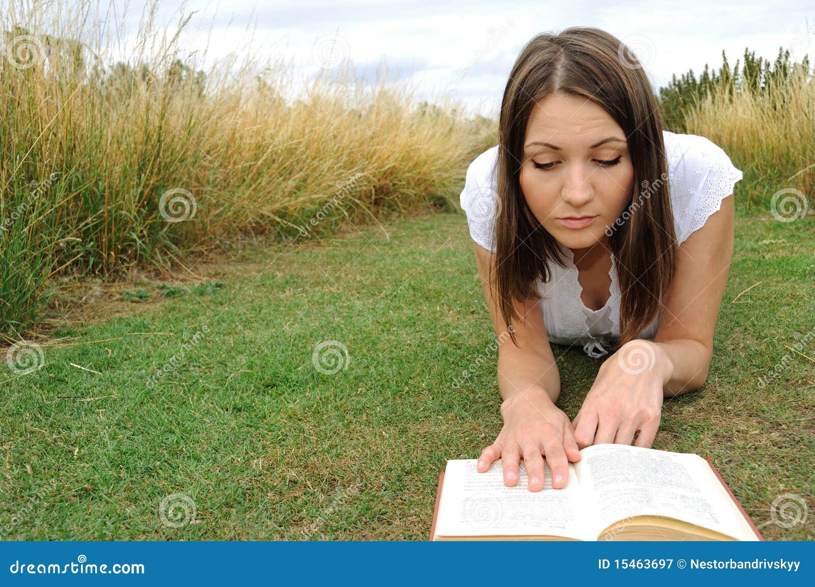 Woman Reading Book on Field Stock Image - Image of outside, landscape ...