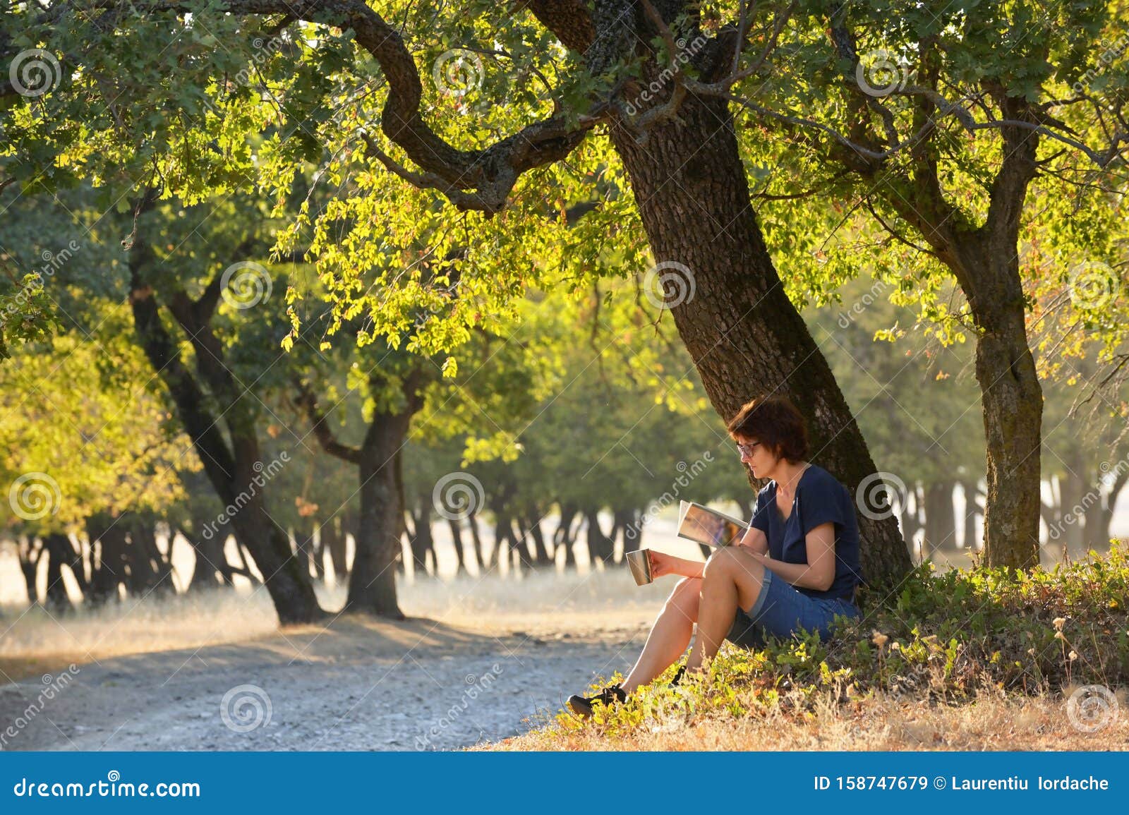 Woman Reading a Book in Forest Stock Image - Image of gold, smiling ...