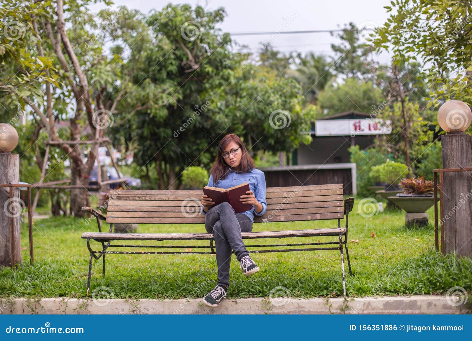Woman Reading Book on Park Bench. Stock Photo - Image of boyfriend ...