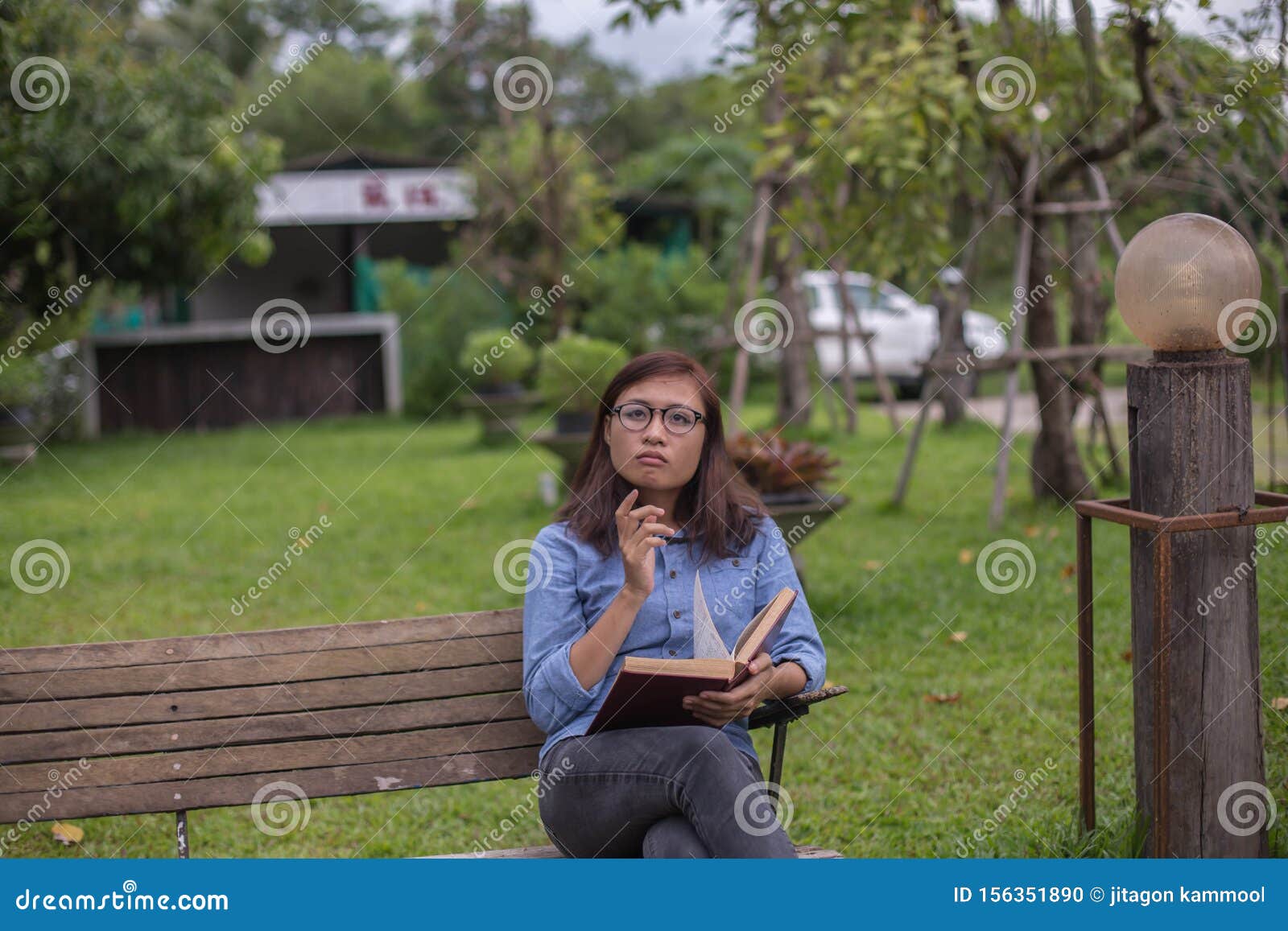 Woman Reading Book on Park Bench. Stock Photo - Image of together, back ...