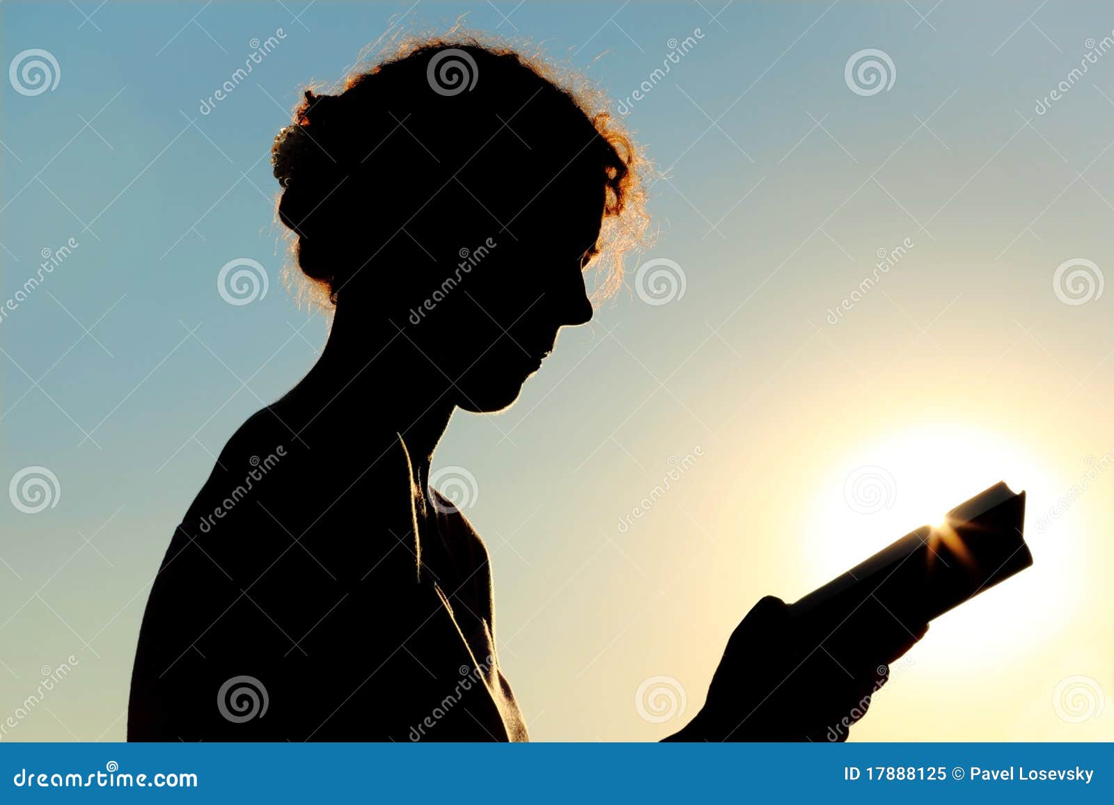 Woman Reading Book, Sunlight Stock Image - Image of beauty, read: 17888125