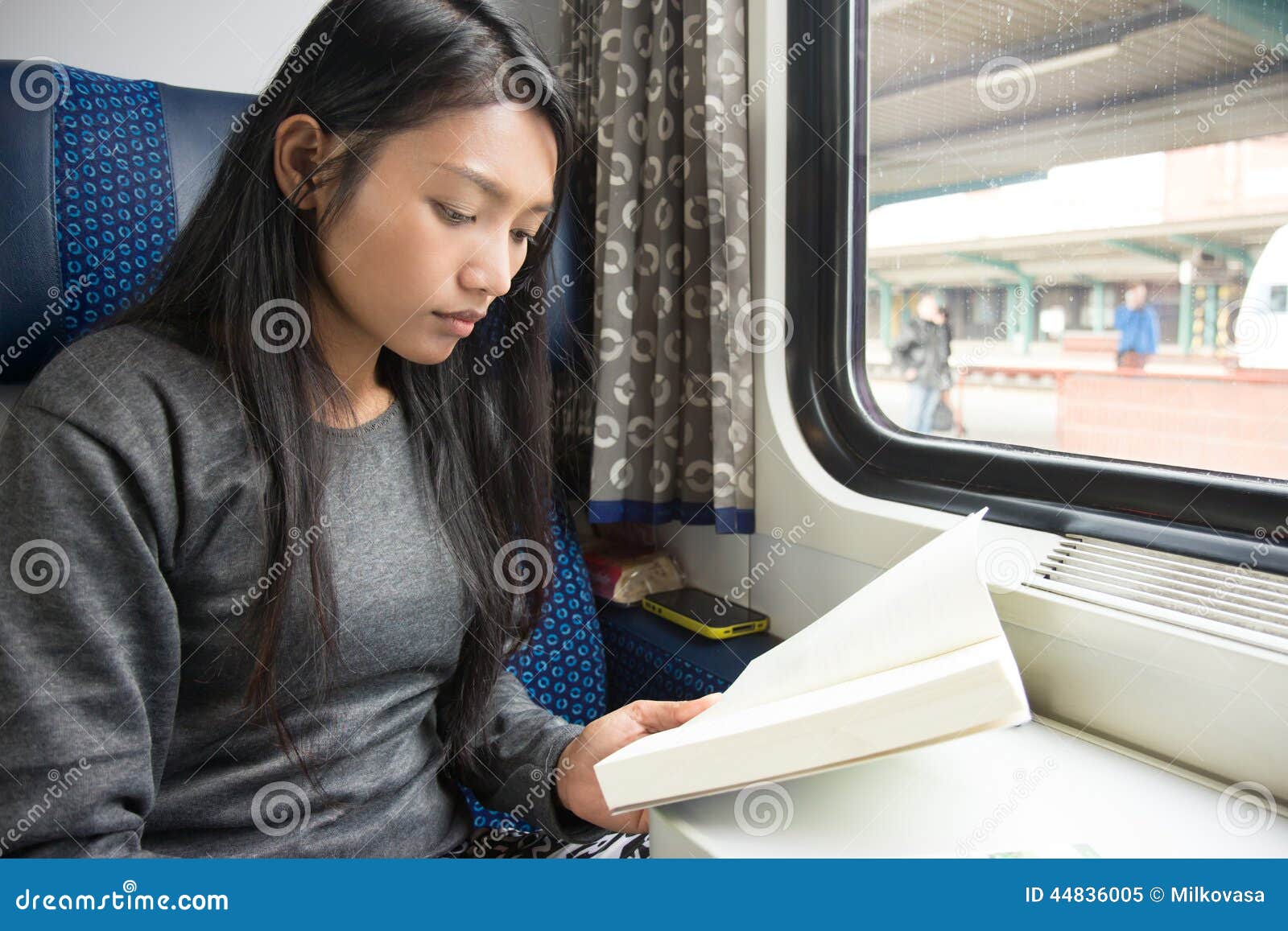 Woman Reading a Book on the Train Stock Image - Image of carriage ...