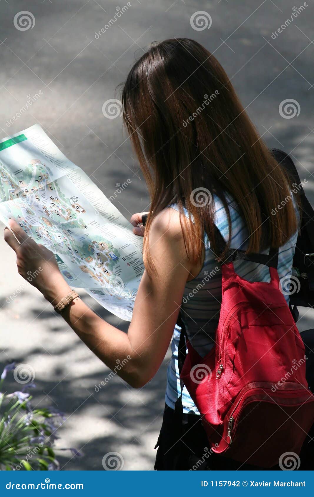 Woman reading a map stock photo. Image of back, woods - 1157942