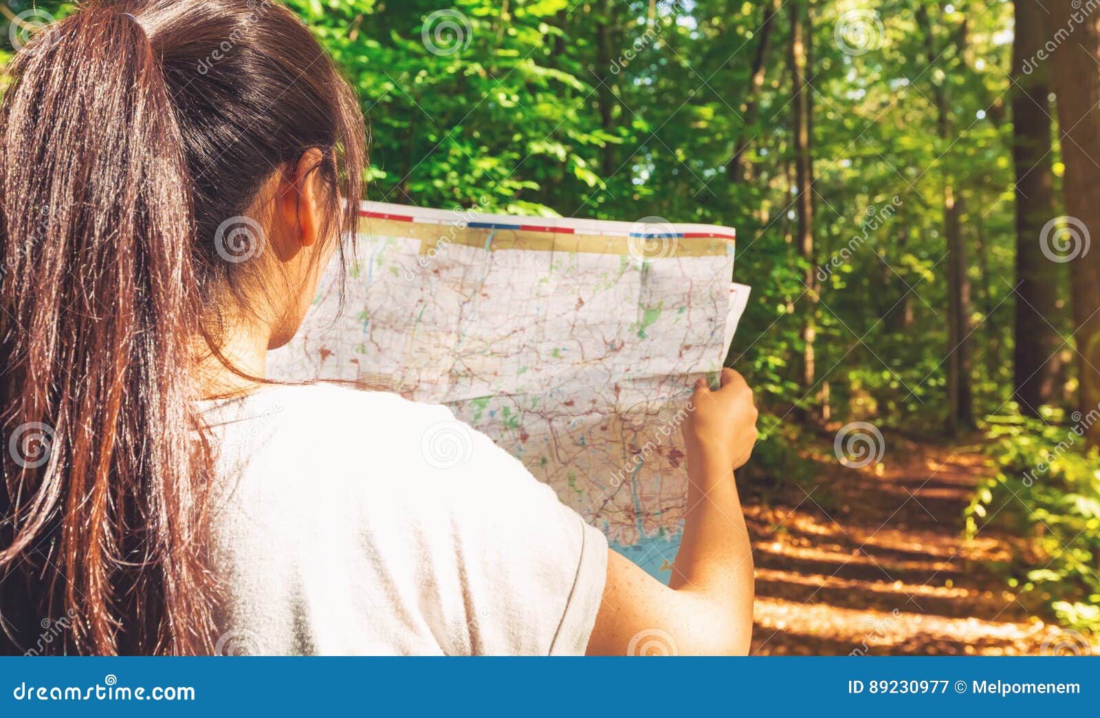 Woman in Reading a Map in the Forest Stock Image - Image of person ...