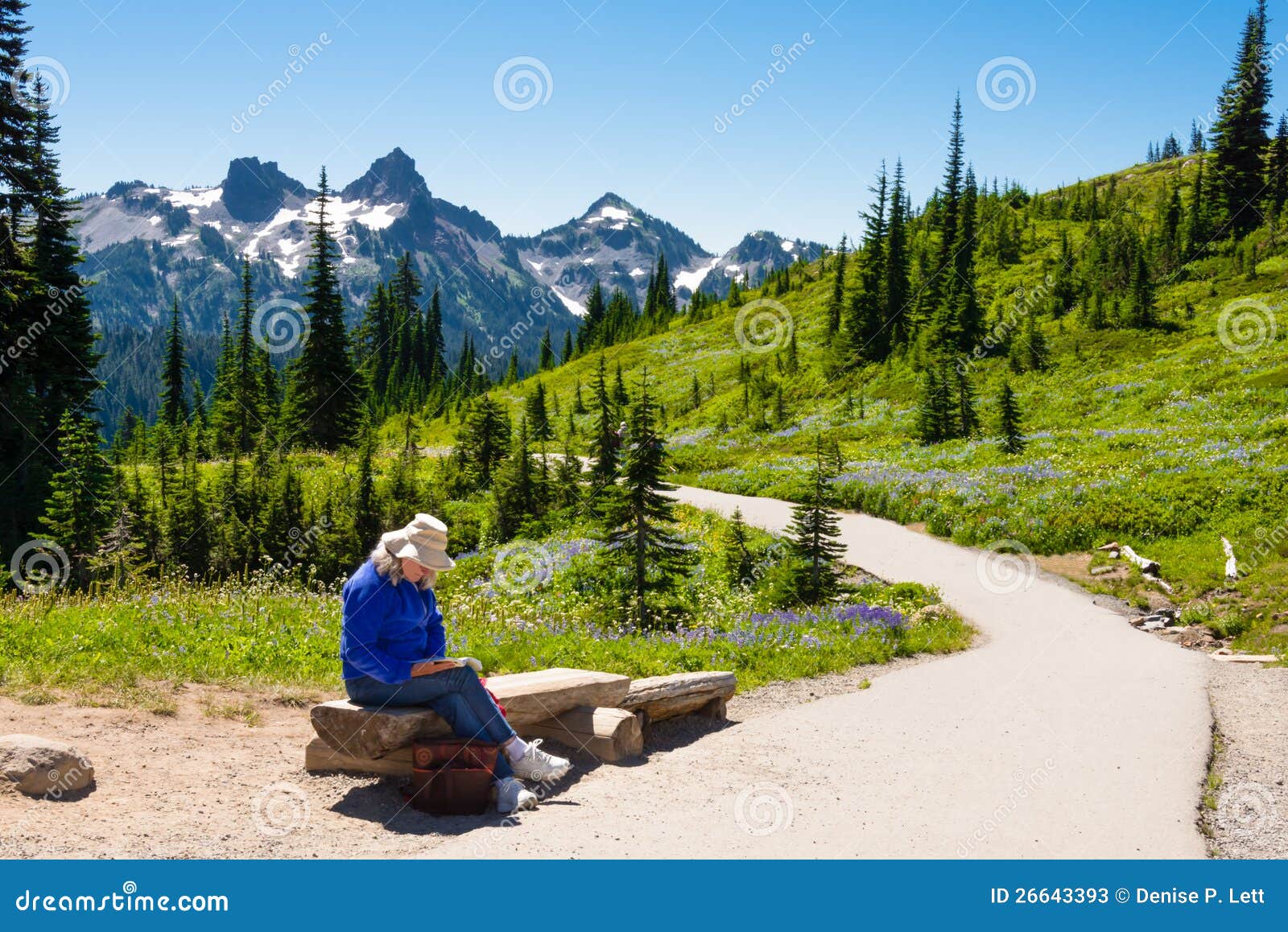 Woman Reading in Mountains stock image. Image of caucasian - 26643393