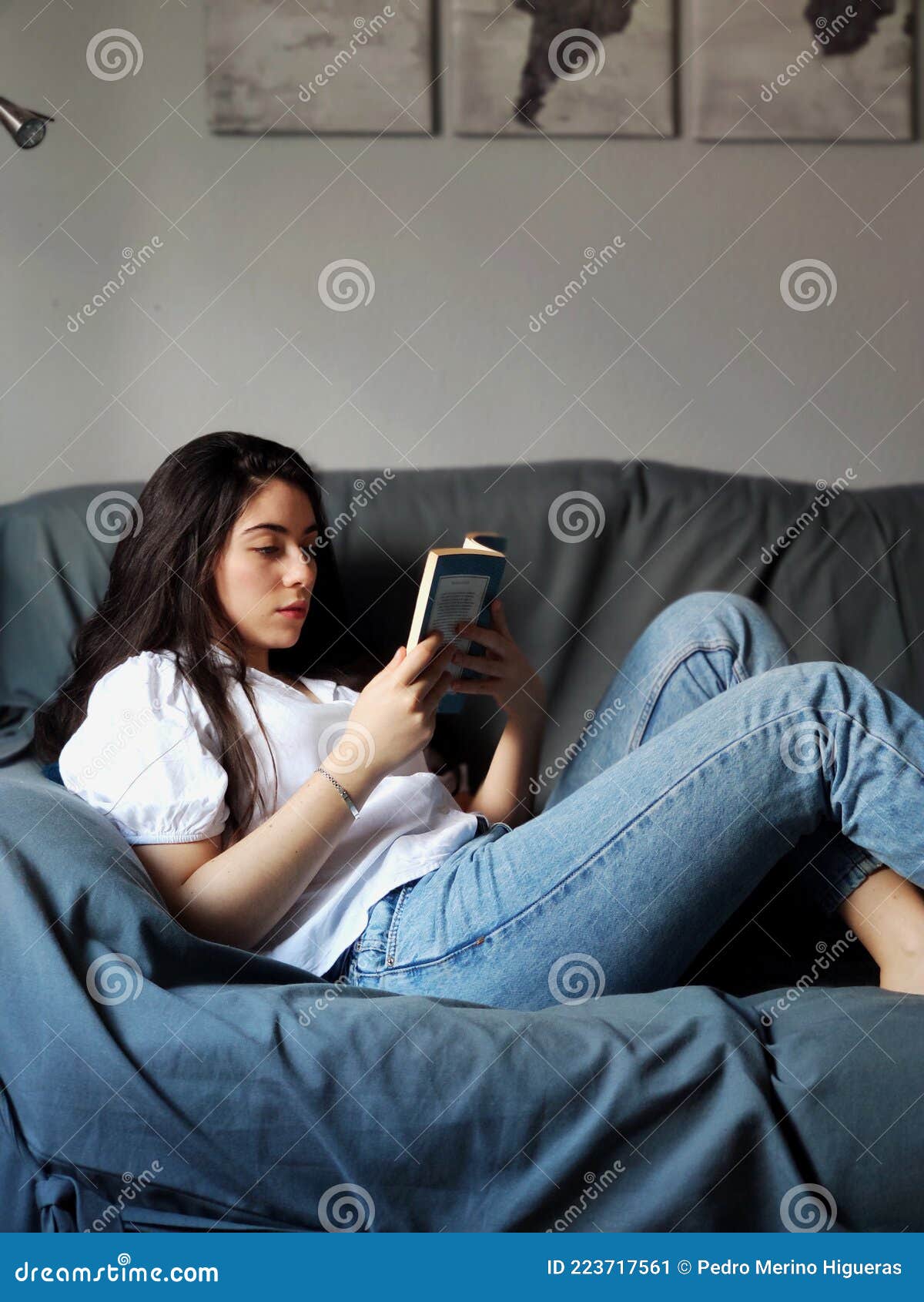 Woman Reading on a Sofa in a House Stock Image - Image of caucasian ...
