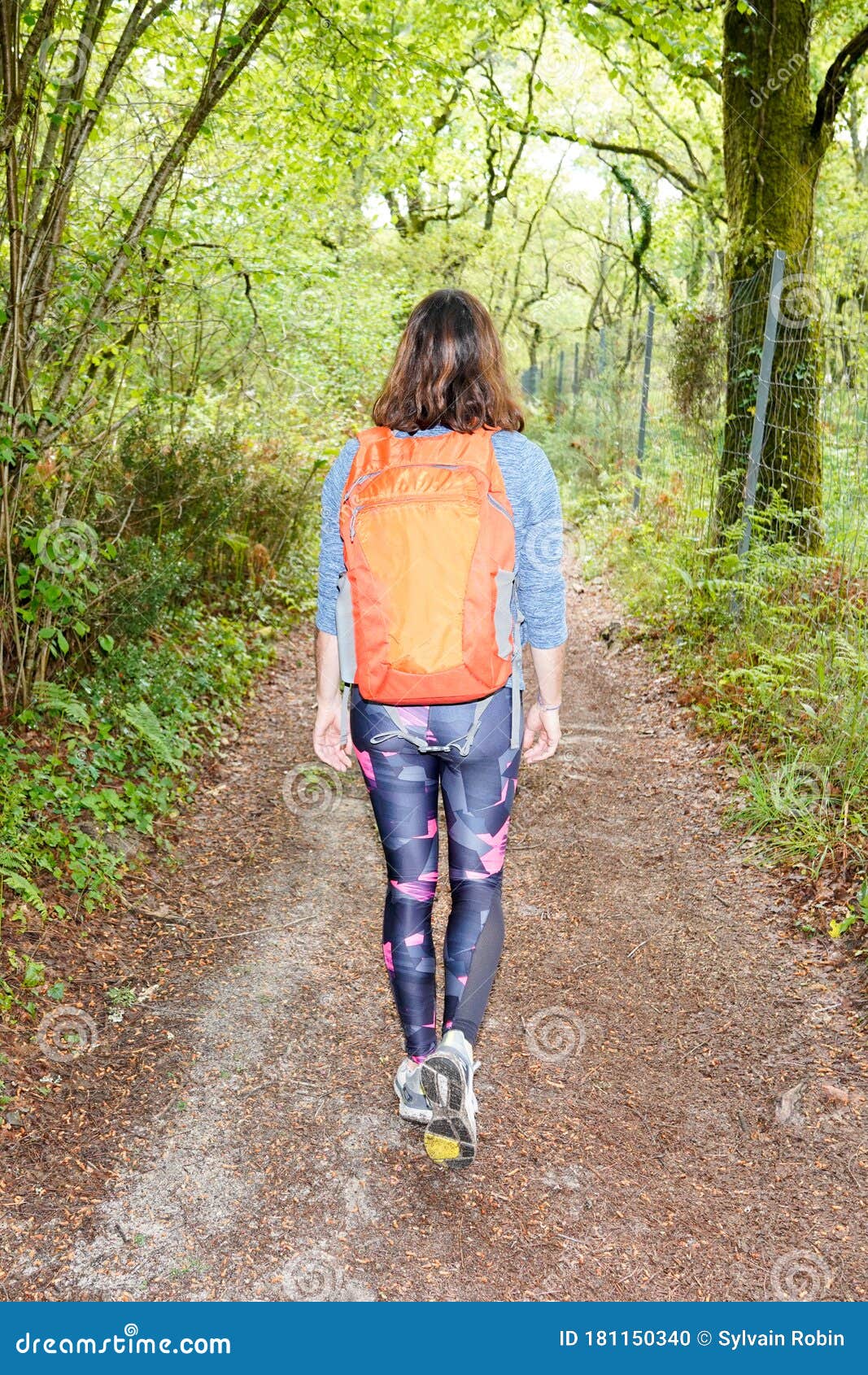 Woman Rear Sporty with Backpack Behind Walking on Forest Pathway Stock ...