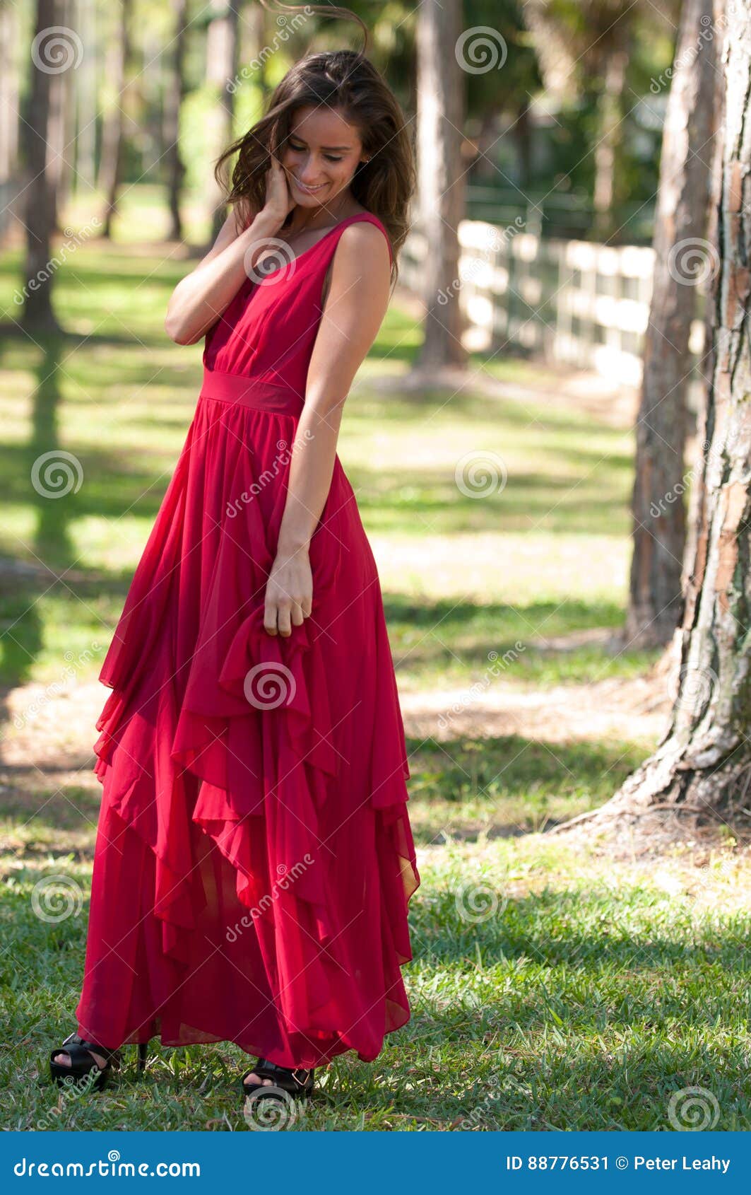Woman in a red dress stock image. Image of pose, woman - 88776531