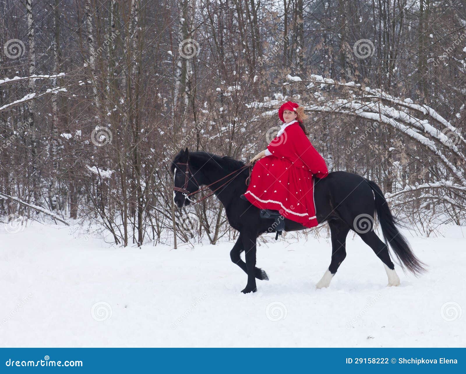 Woman in red riding habit stock photo. Image of paddock - 29158222