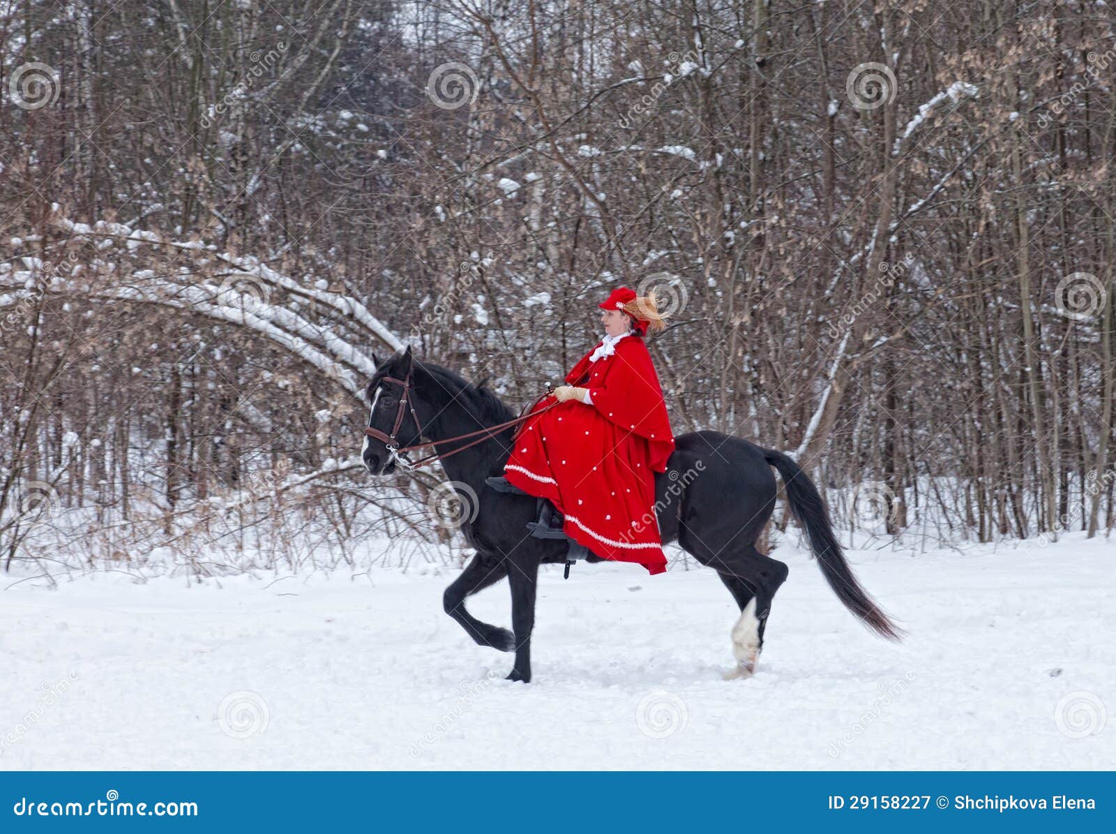Woman in red riding habit stock image. Image of animal - 29158227
